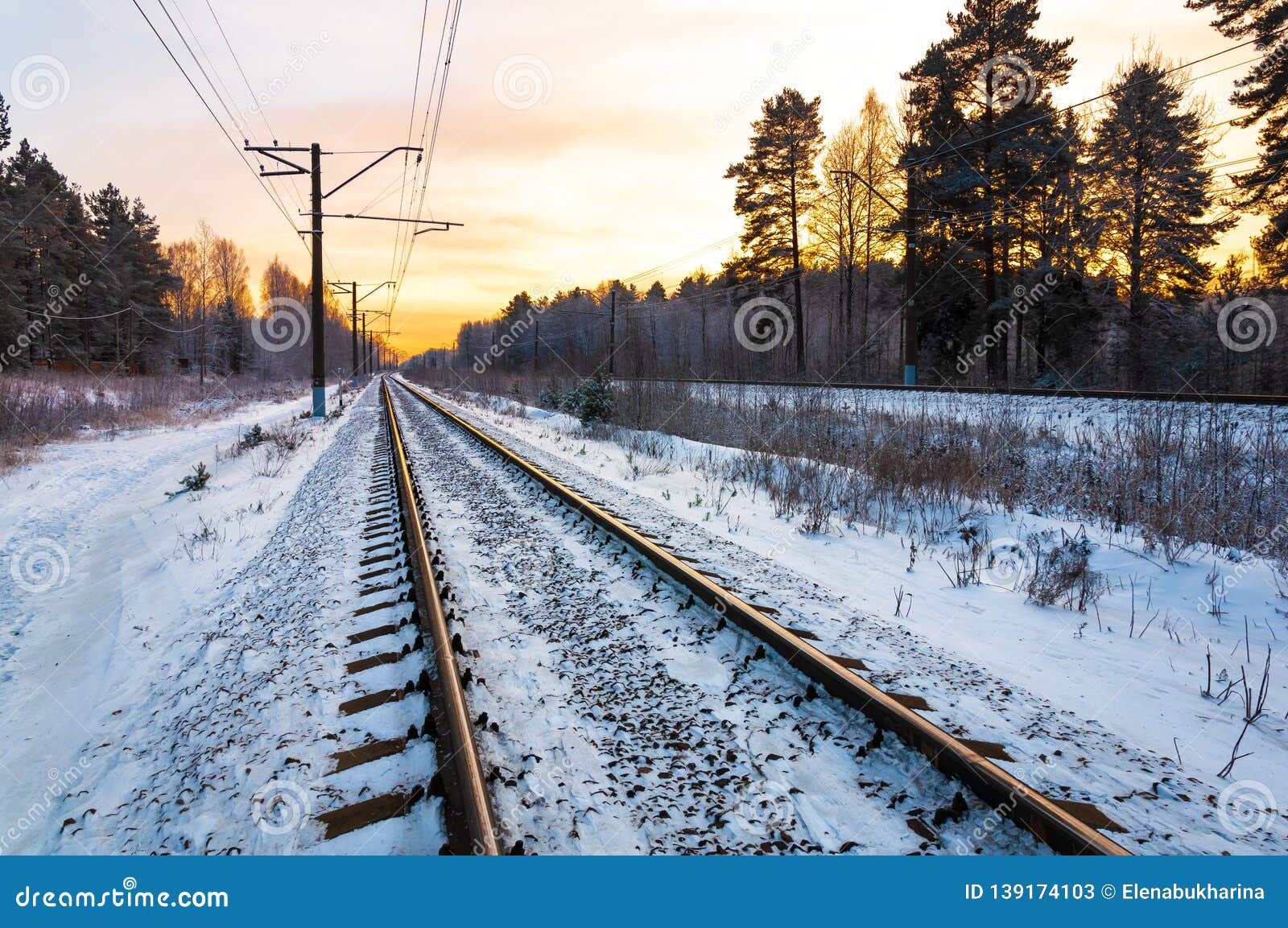 Railroad Tracks in the Winter Forest at Sunset Stock Image - Image of ...