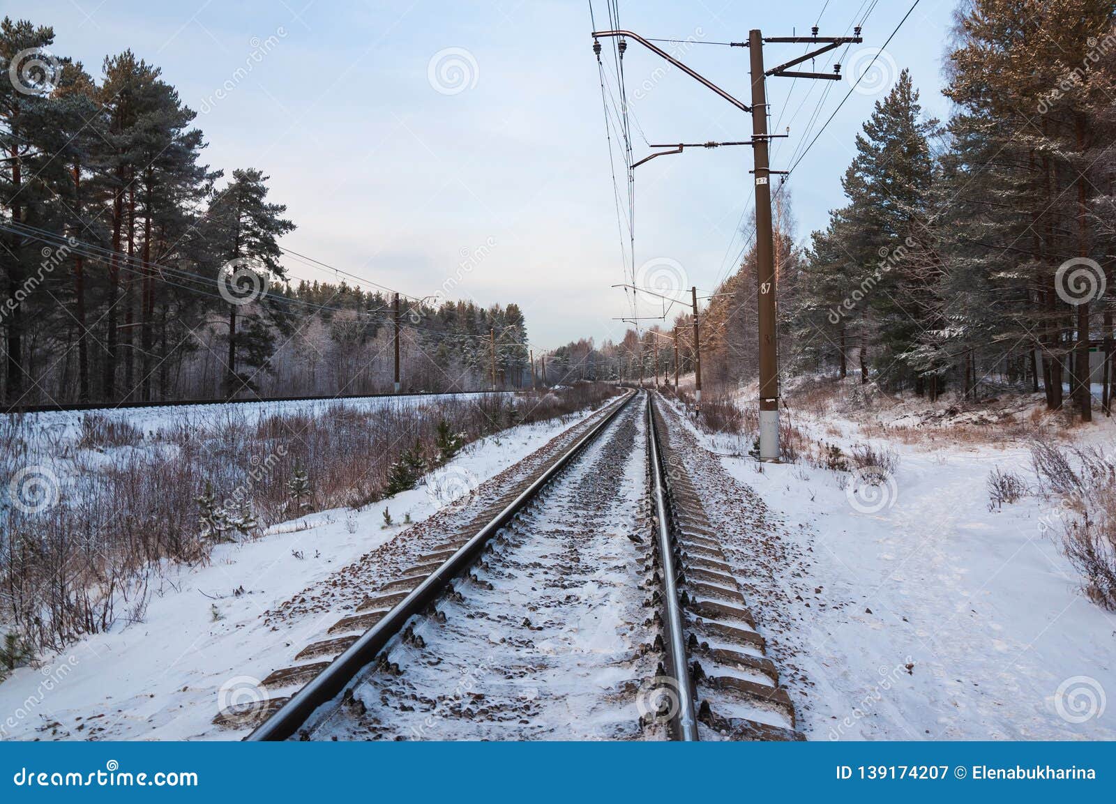 Railroad Tracks in the Winter Forest at Sunset Stock Image - Image of ...