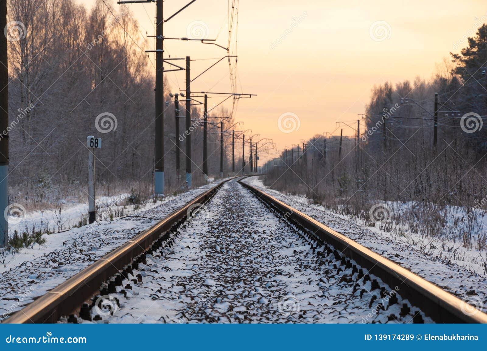 Railroad Tracks in the Winter Forest at Sunset Stock Image - Image of ...