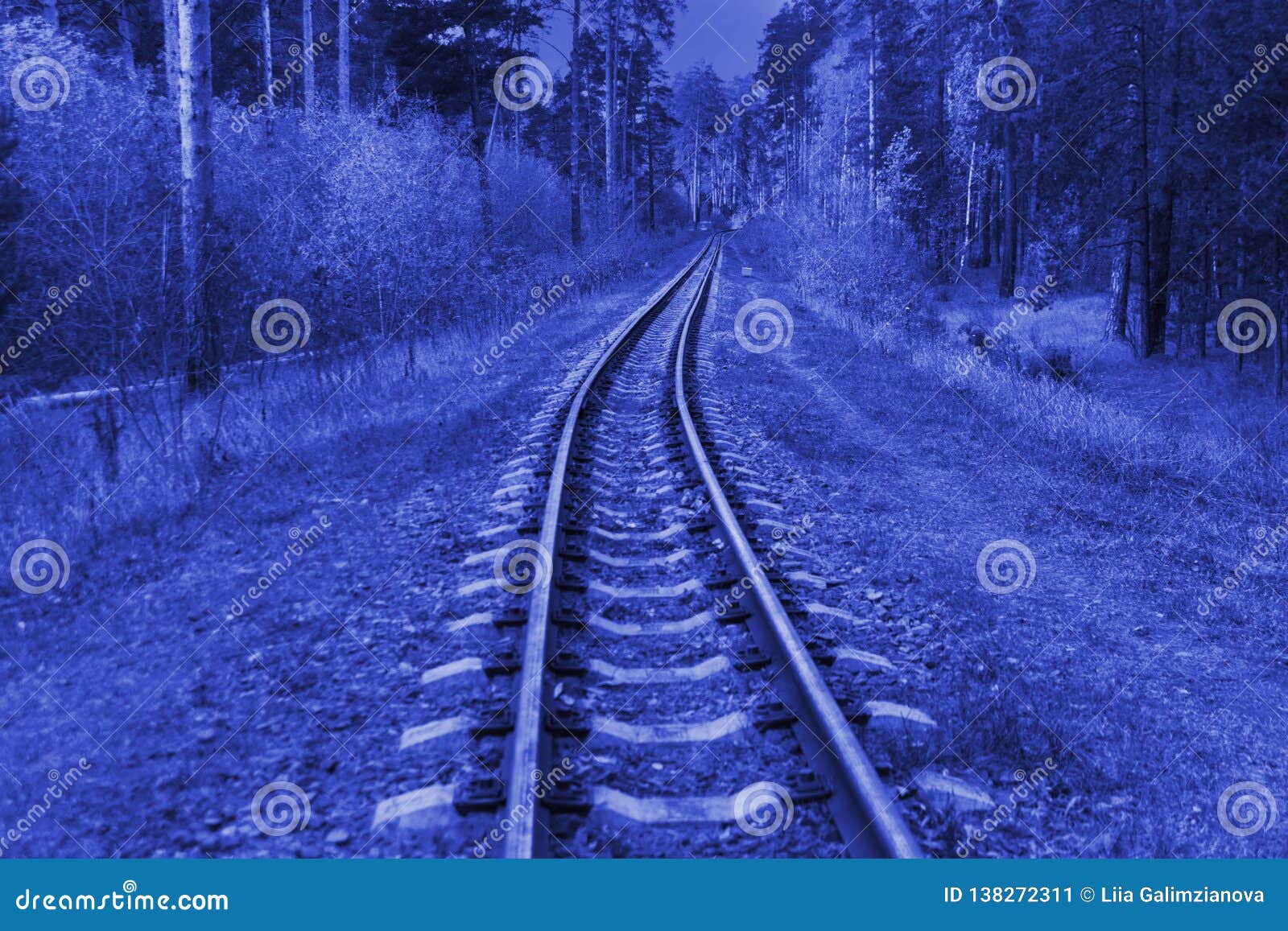 Railroad Tracks through the Woods Stock Image - Image of blue, track ...