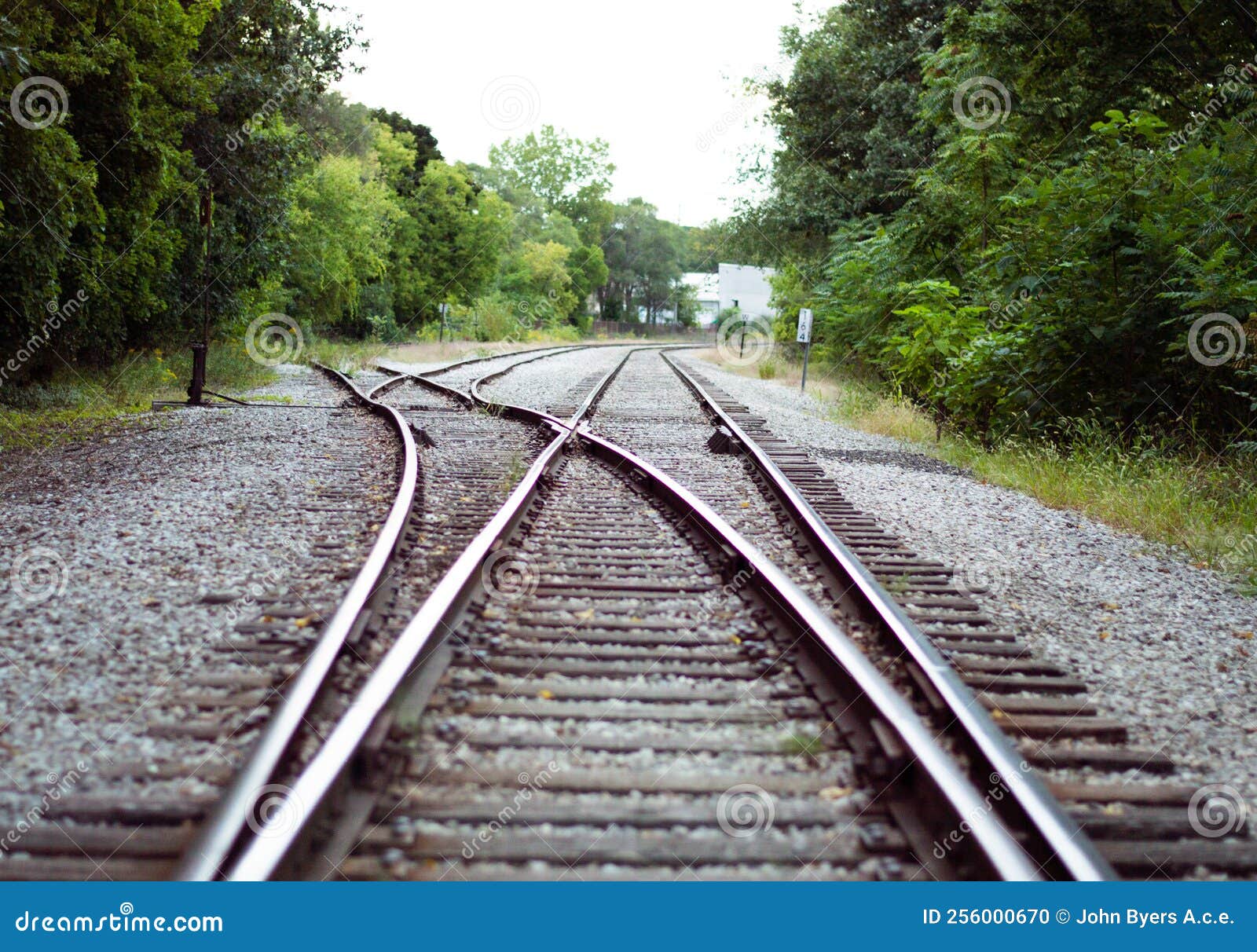 Railroad Tracks through Woods Stock Photo - Image of track, beautiful ...