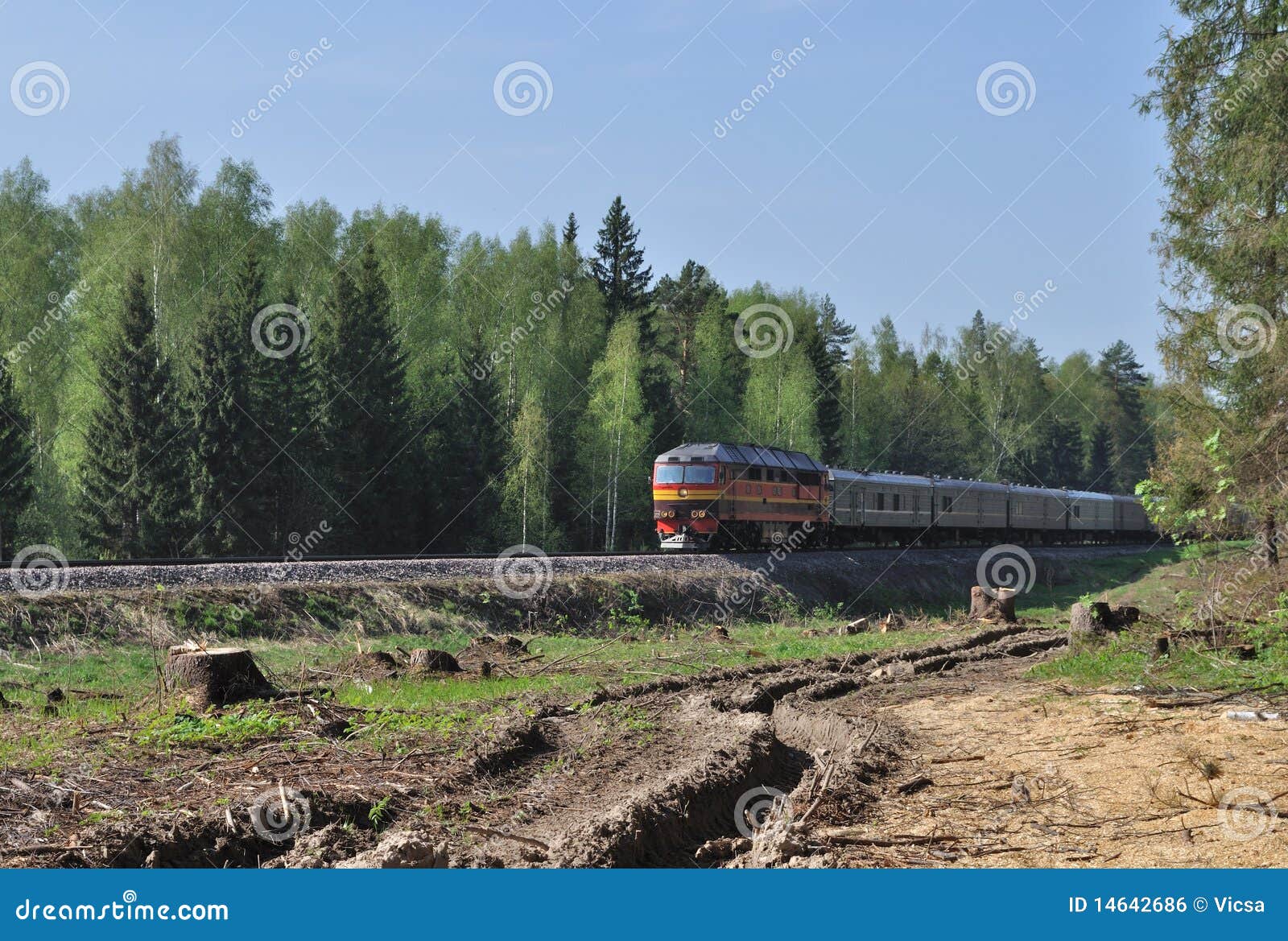 Railroad with Train in Forest Stock Photo - Image of logistics, chug ...
