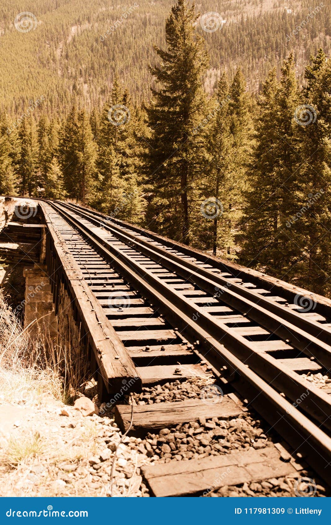 Railroad Train Tracks through Countryside Stock Image - Image of ...