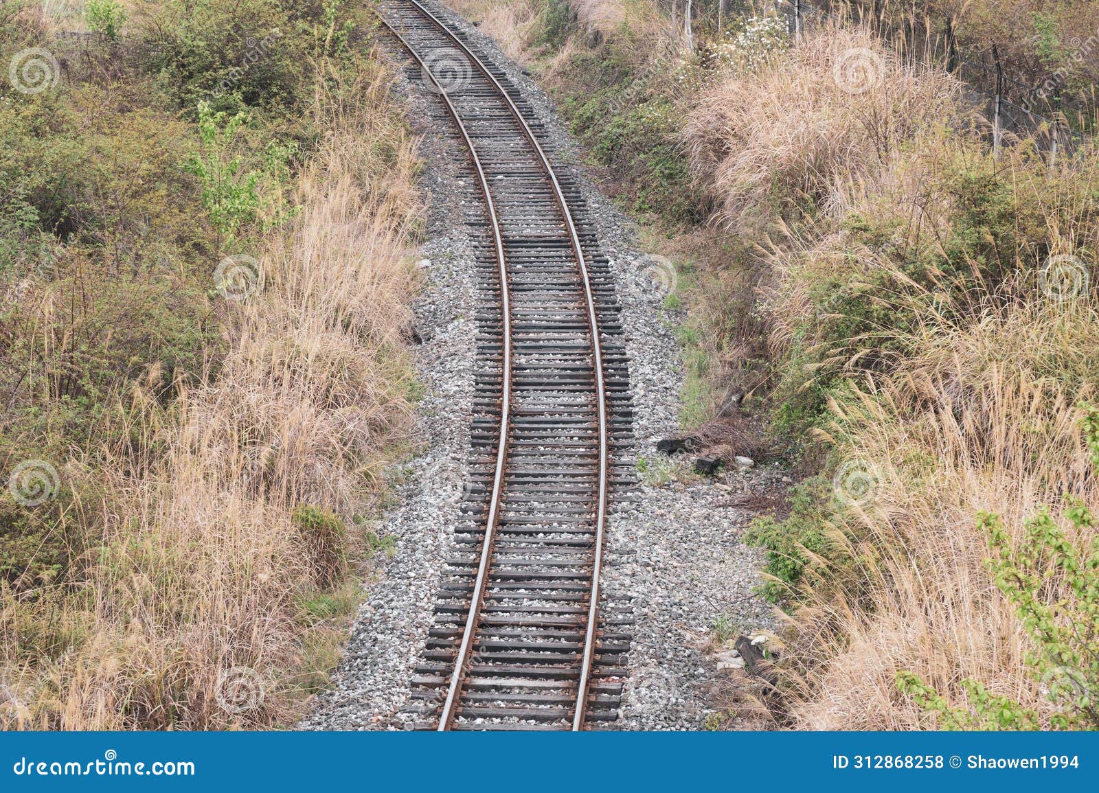 Railroad, train tracks. stock photo. Image of tourism - 312868258