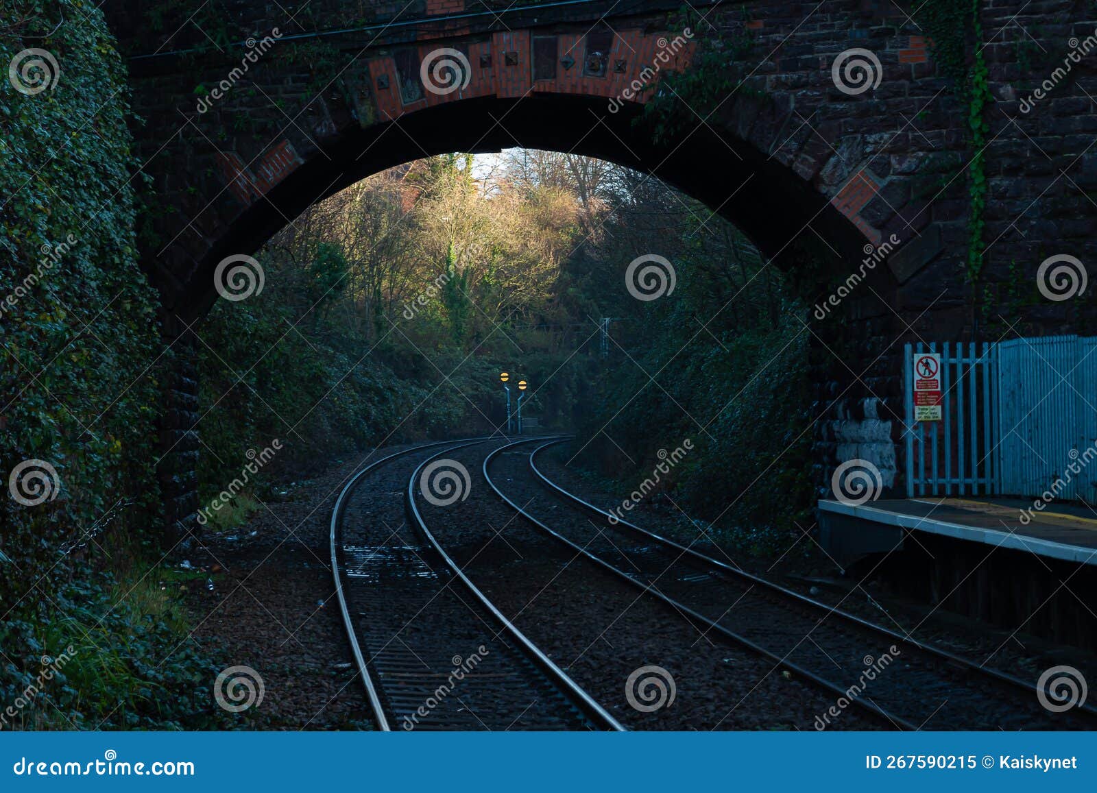 Railroad and Train Tunnel, Old Tracks through a Tunnel, Railroad Tracks ...