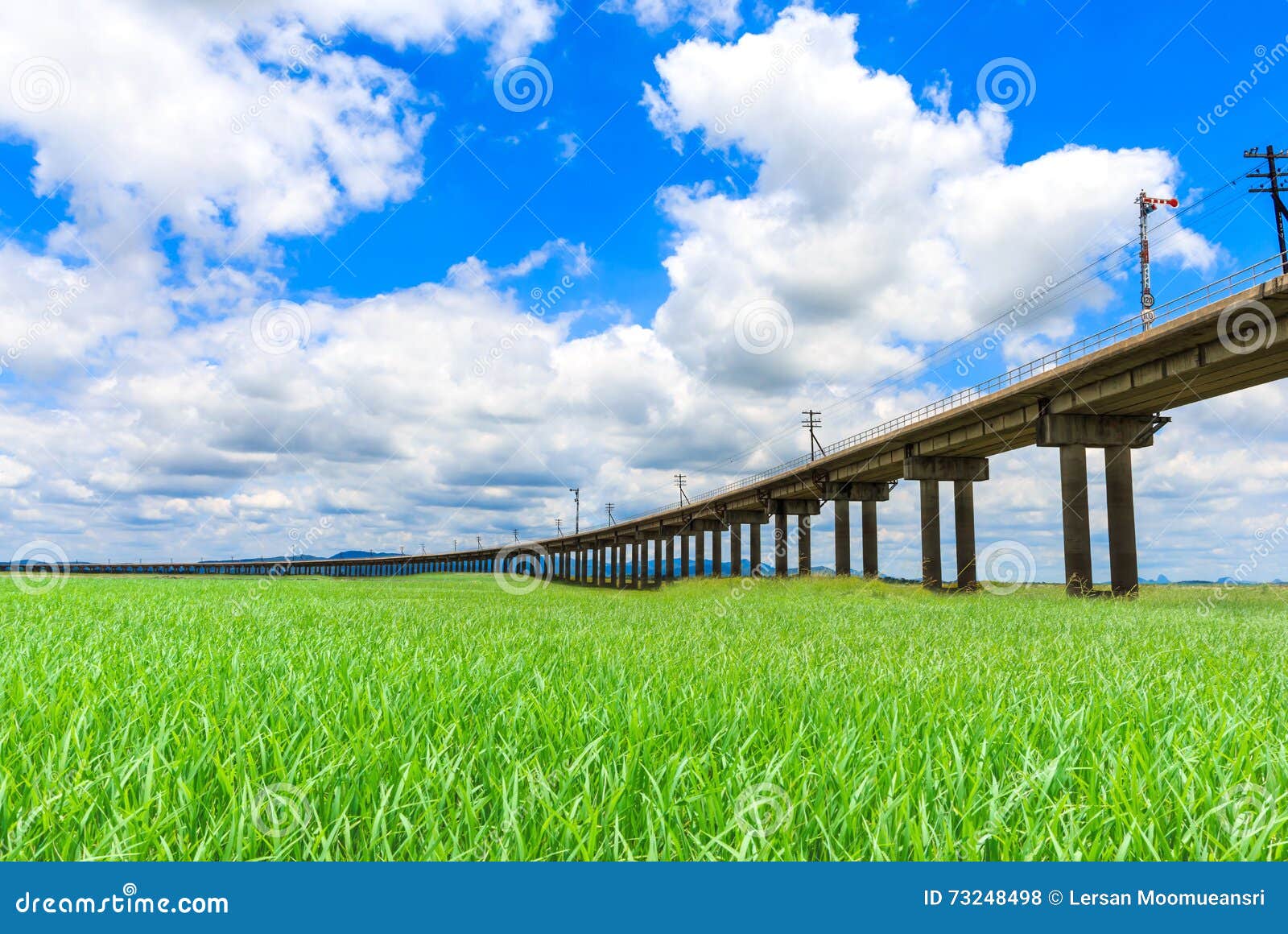 Railroad for Transportation Transport Railway Over Rice Field Stock ...