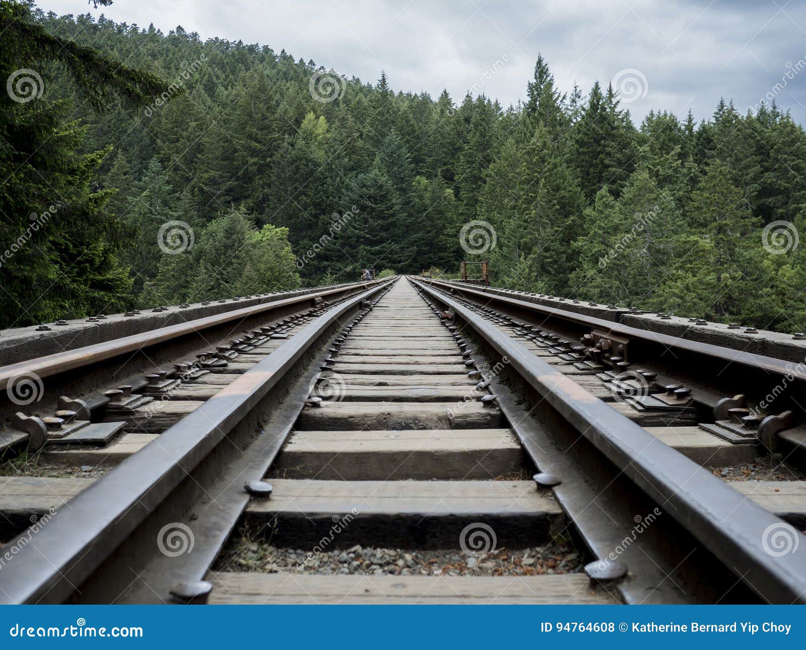 Railroad Trestle Bridge stock photo. Image of railway - 94764608