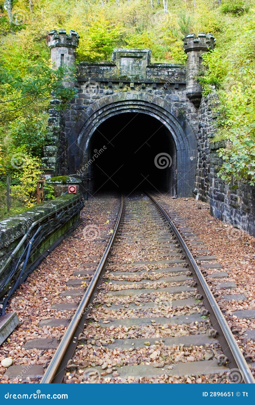 Railroad tunnel stock image. Image of railroad, country - 2896651