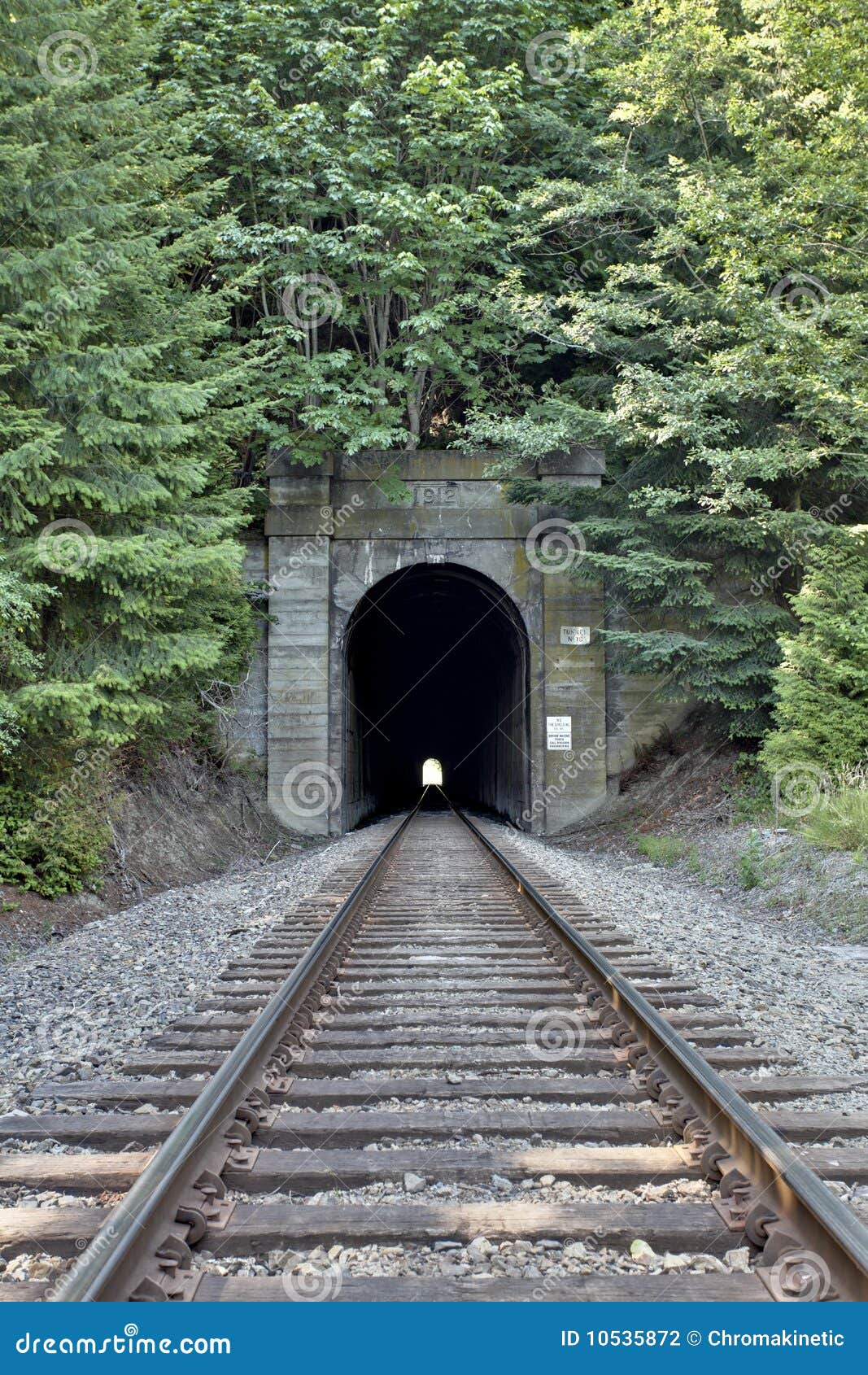Railroad Tunnel with Foliage Stock Photo - Image of mountains, outdoors ...