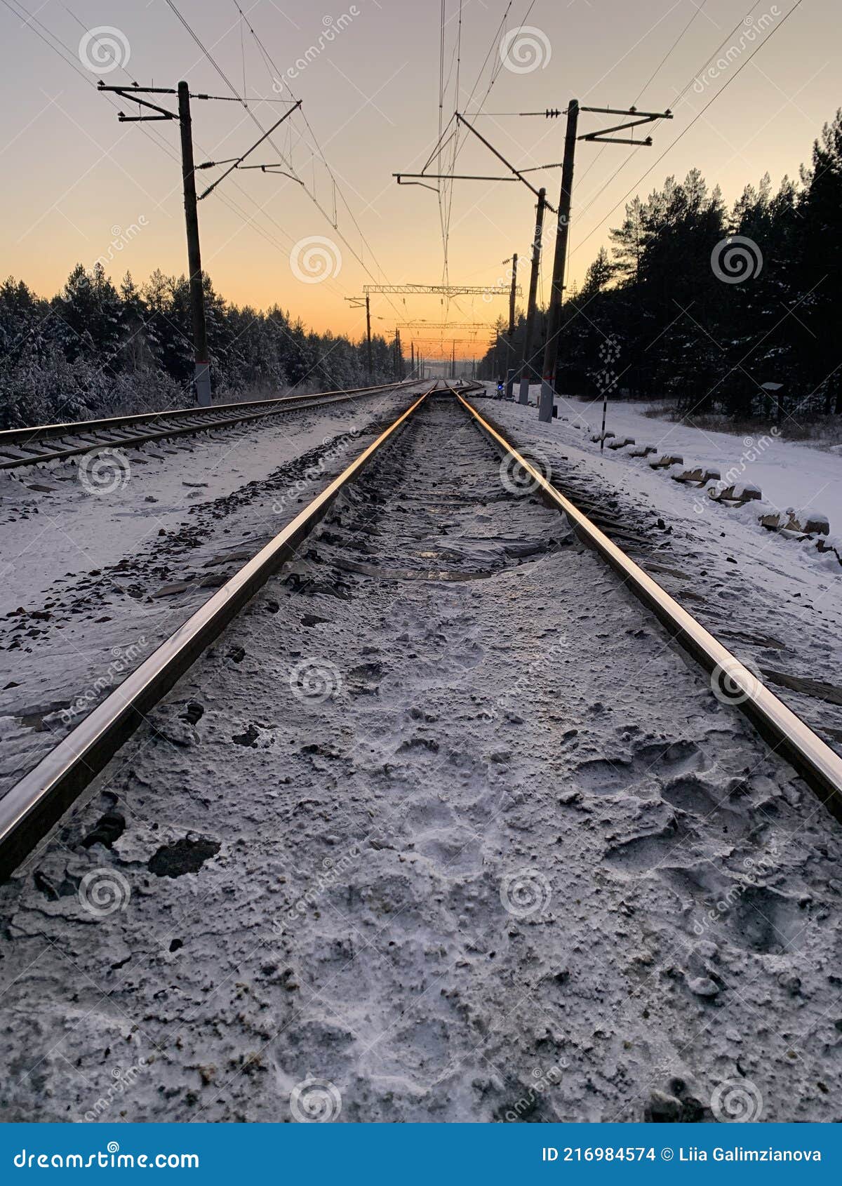 Railroad in winter stock photo. Image of transport, train - 216984574