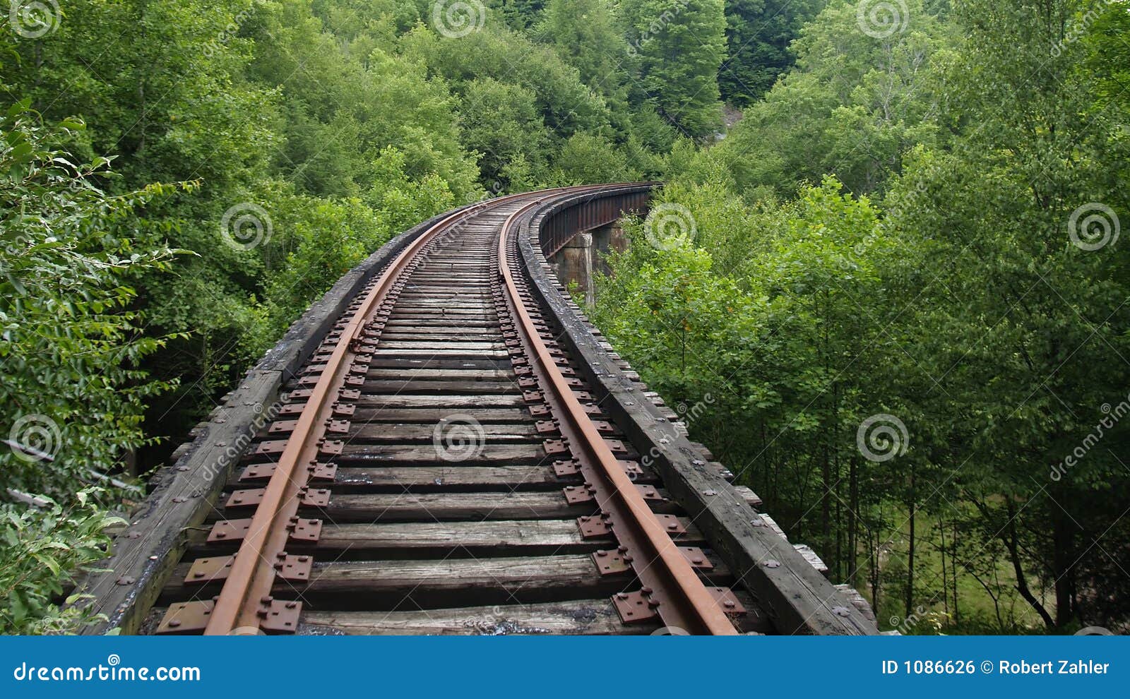 Railroad into the woods stock photo. Image of railroad - 1086626