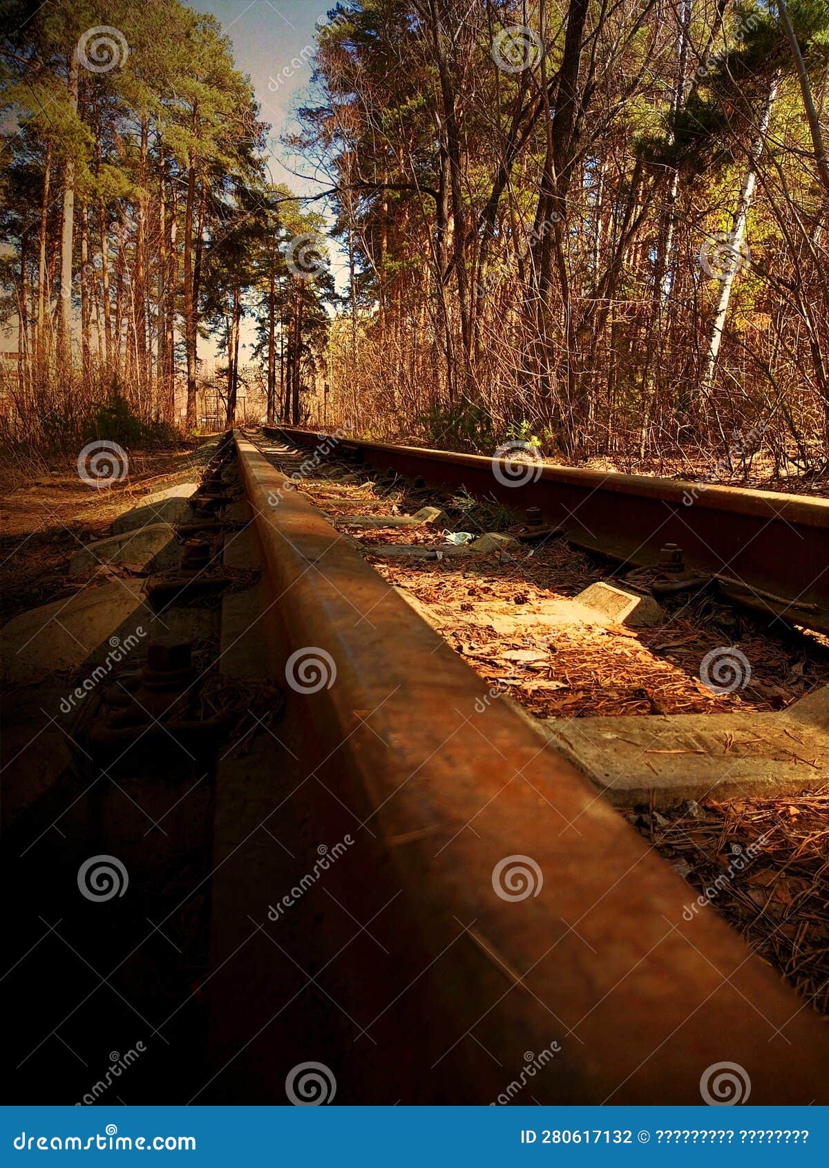 Railroad in the woods stock photo. Image of wood, forest - 280617132
