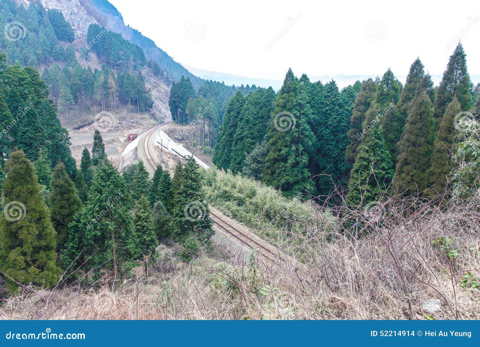 Railroad in the Woods, Japan Stock Photo - Image of nature, asia: 52214914