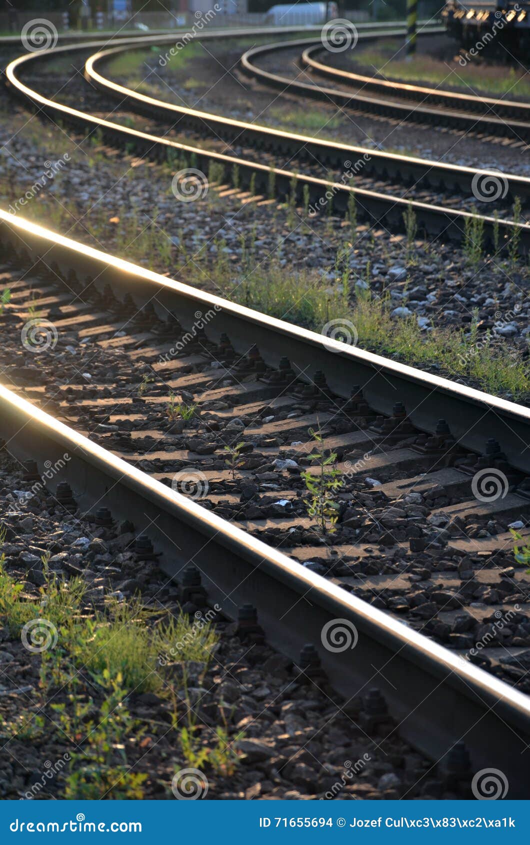 Curved Train Tracks Railroad Rail Crossing Woods Forest Royalty-Free ...