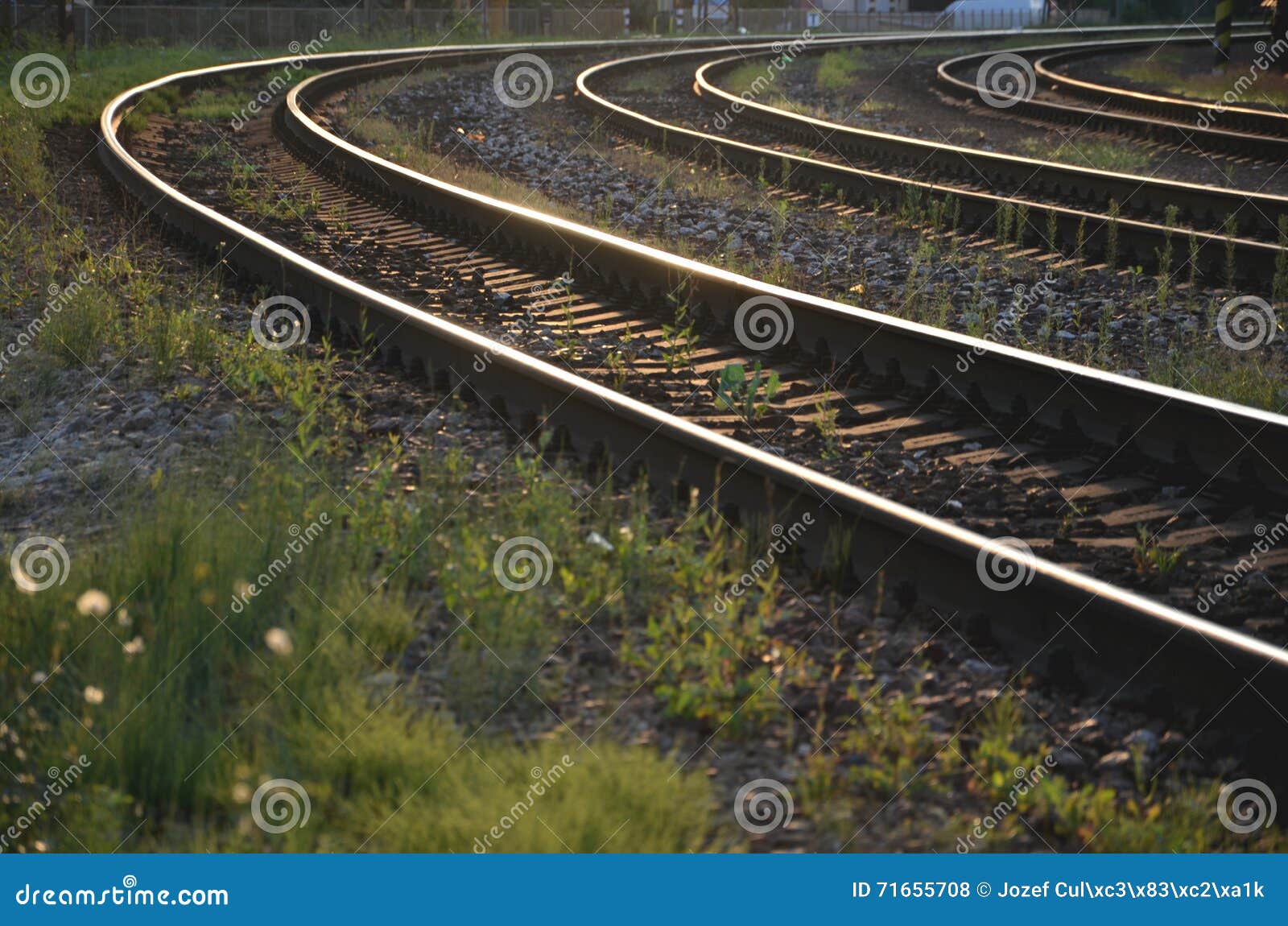 Curved Train Tracks Railroad Rail Crossing Woods Forest Royalty-Free ...