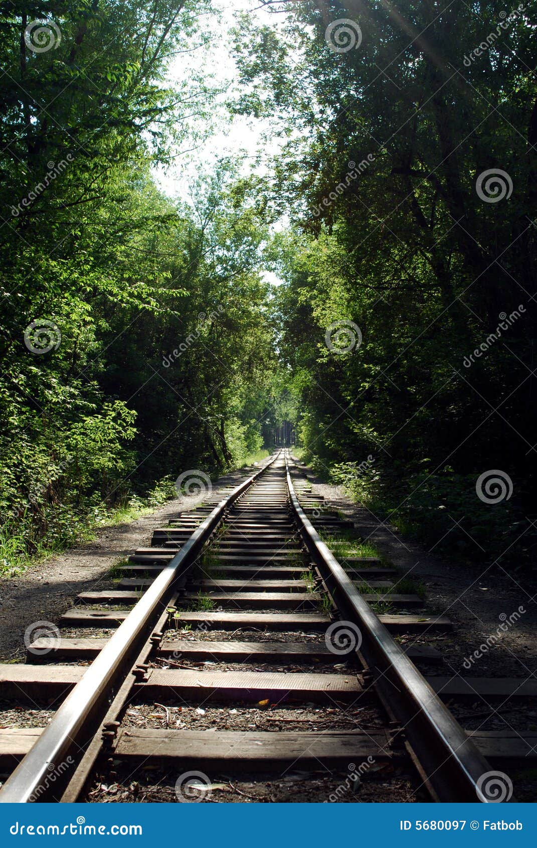 Rails in the forest stock image. Image of train, skyline - 5680097