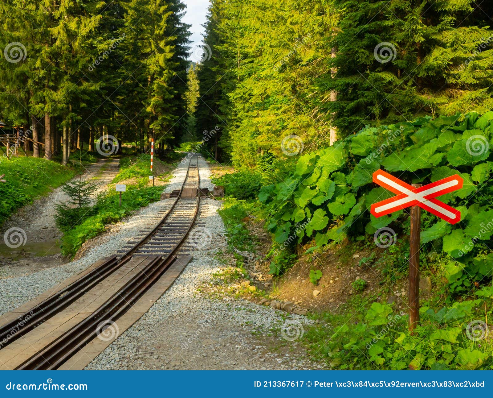 Rails in forest at sunset. stock image. Image of trees - 213367617