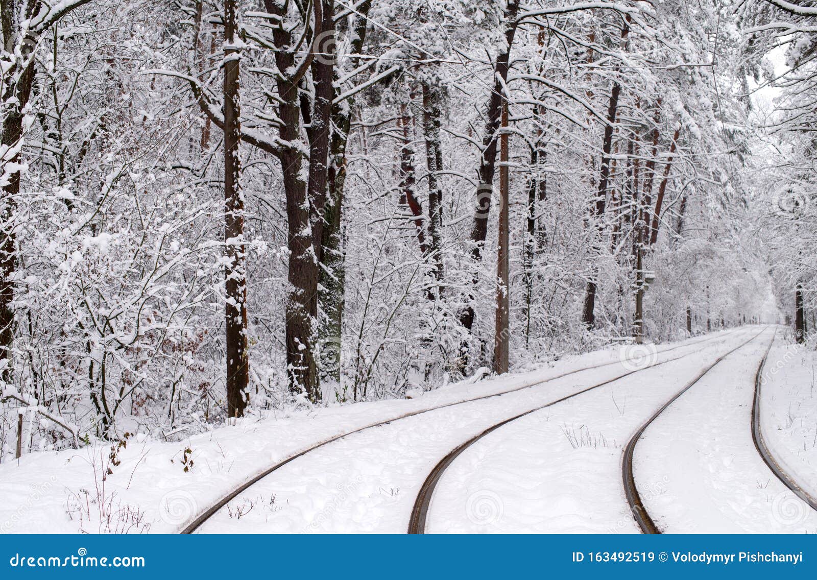 The Rails are Laid in the Winter Forest. Stock Image - Image of ...