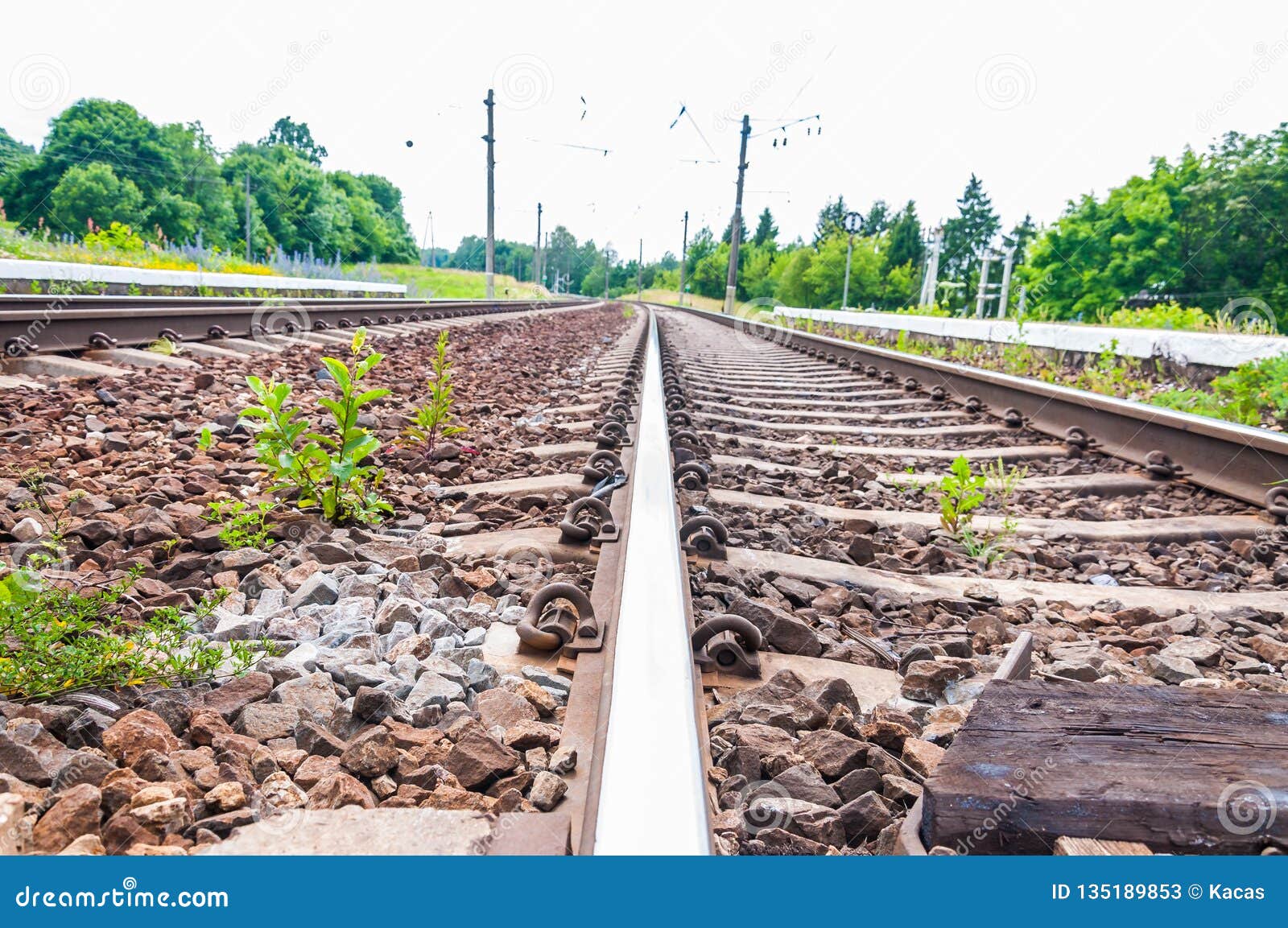 Rails and Sleepers of a Two Ways Railroad in Lithuania Stock Image ...