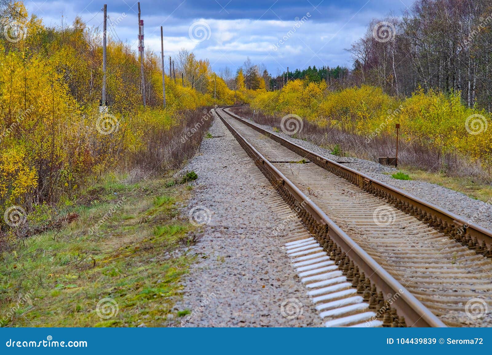 Rails Stretching into the Distance Stock Image - Image of iron, line ...