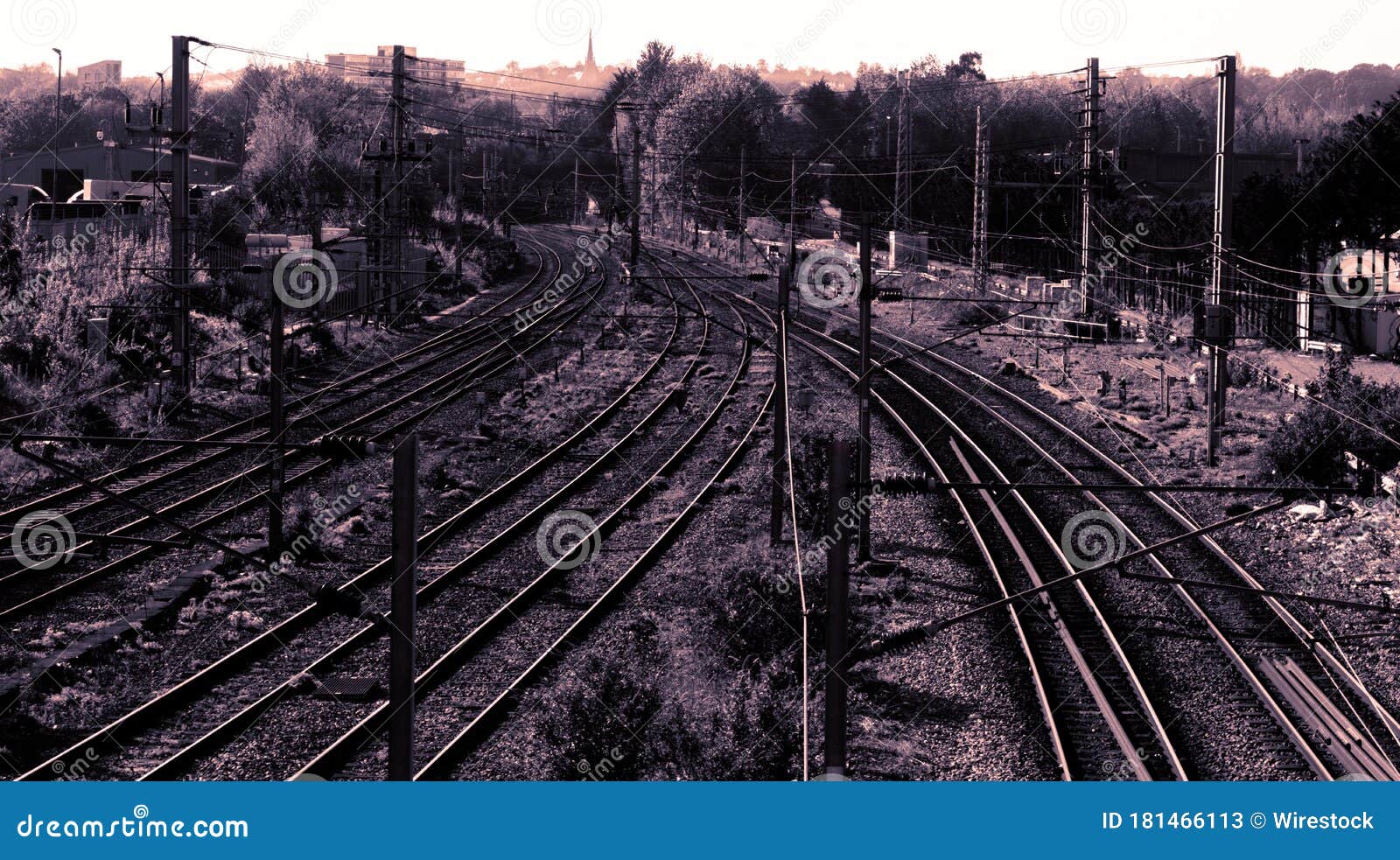 Rails of a Train Merging with Each Other Stock Image - Image of rails ...