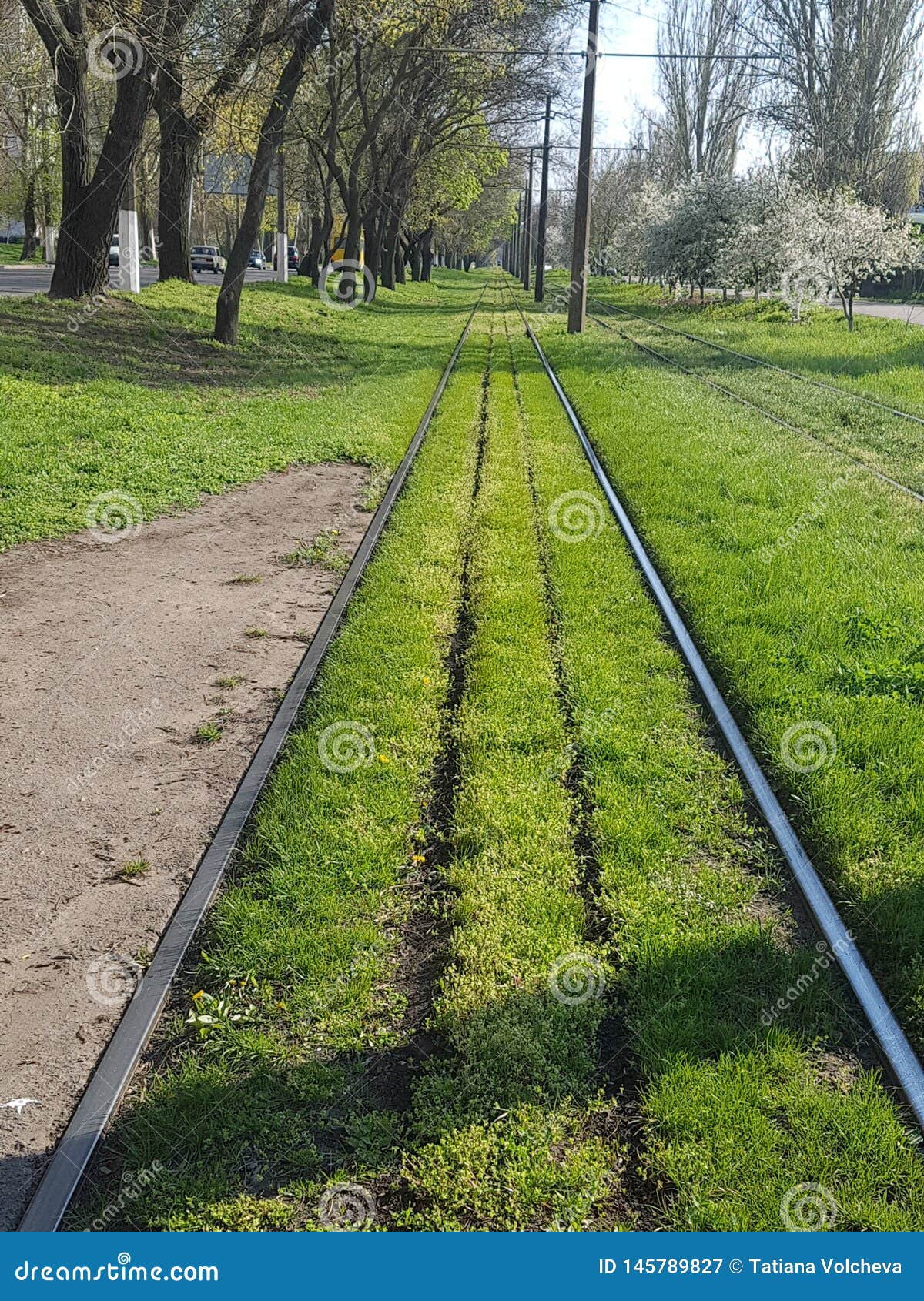 Rails of a tramway stock image. Image of tramway, design - 145789827
