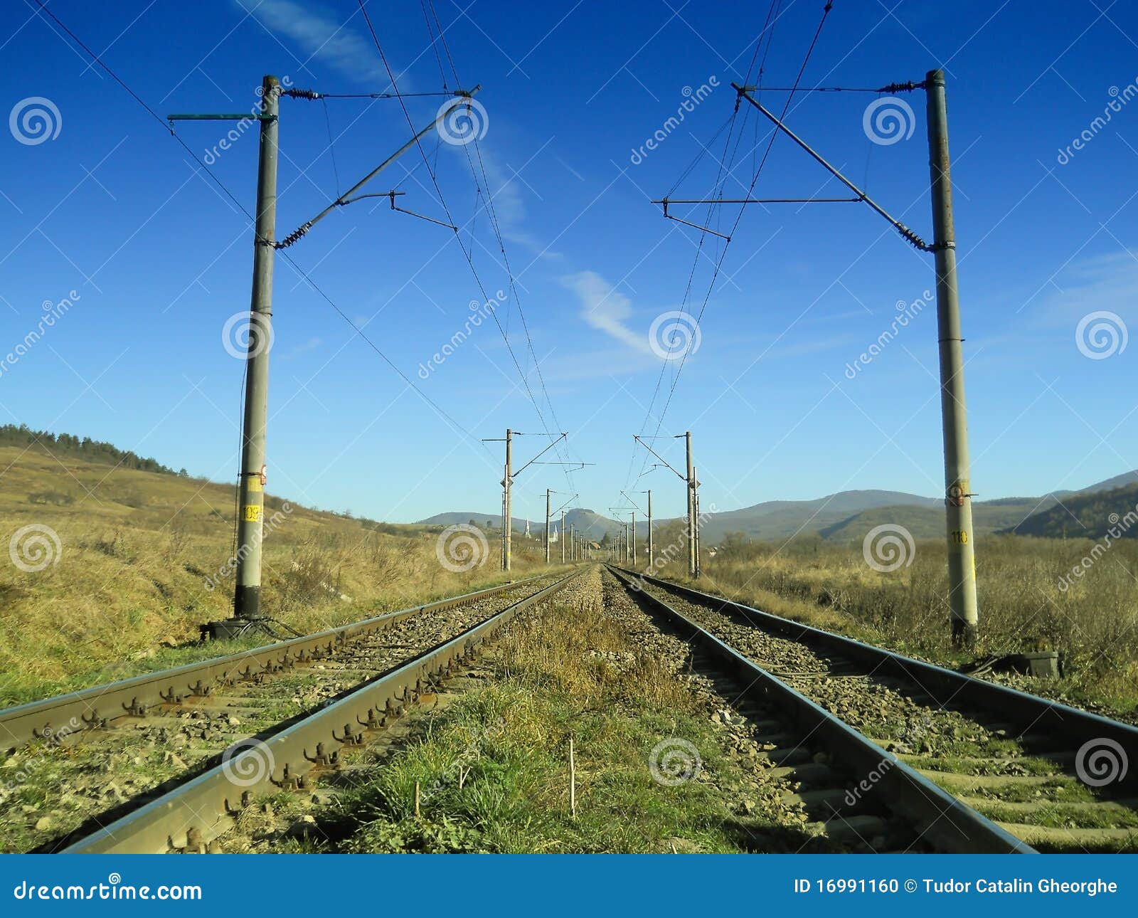 Railway: Roads, Poles, Traffic Lights, Trains, Locomotives. Royalty ...