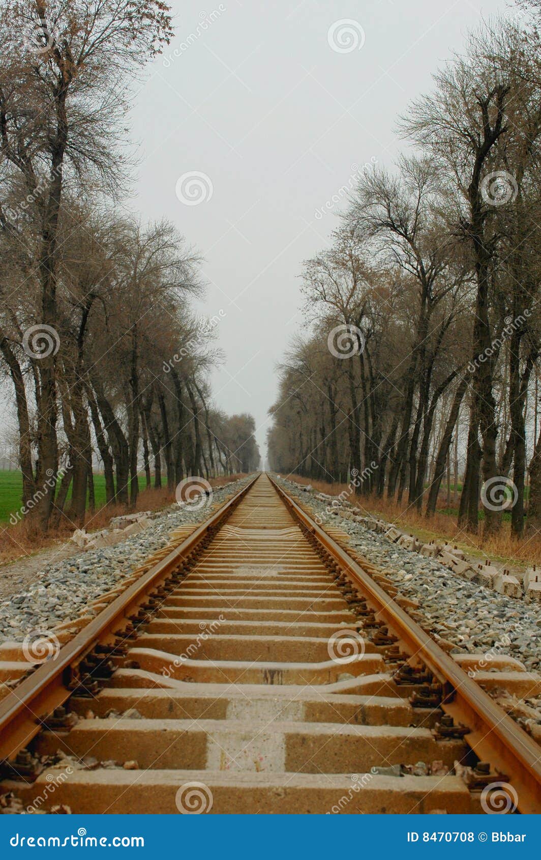 Railway stock photo. Image of distant, train, railroad - 8470708