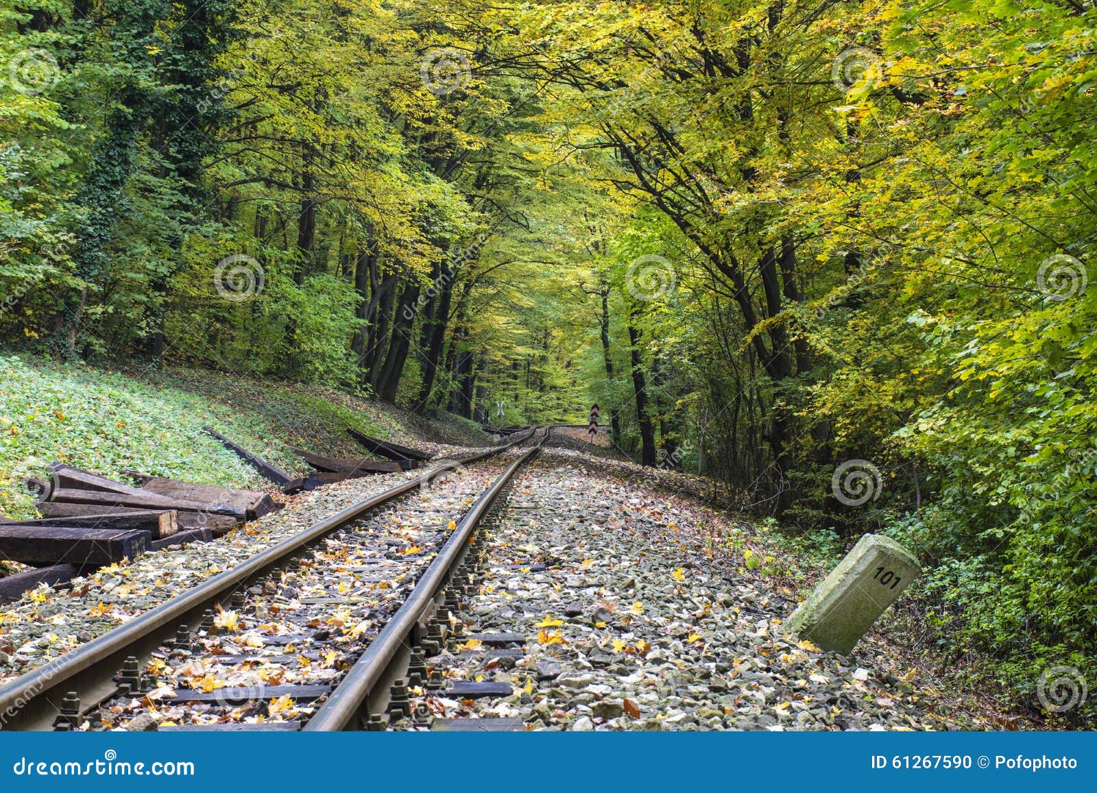 Railway in autumn forest stock photo. Image of seasonal - 61267590