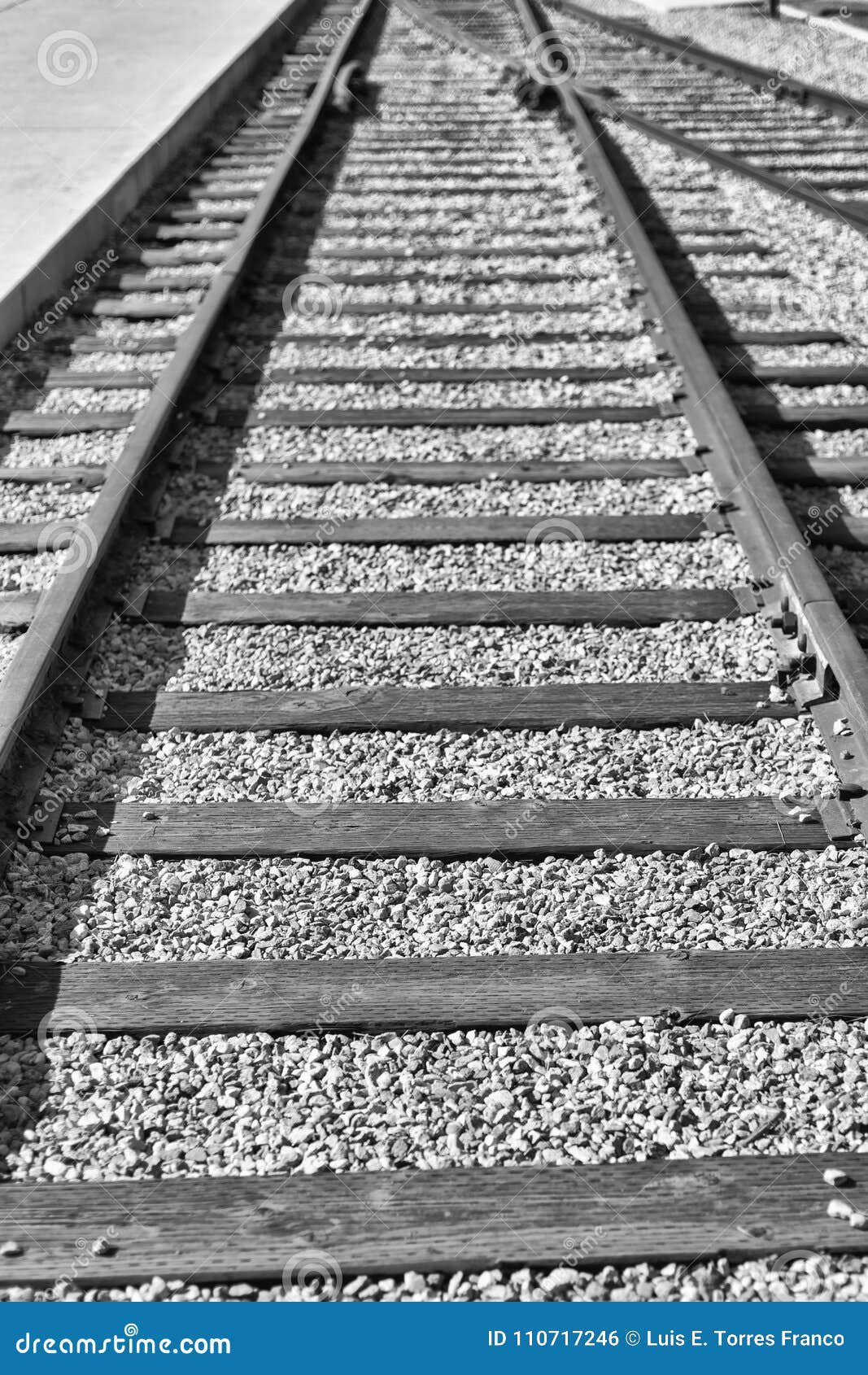 The Railway in Black and White Stock Photo - Image of panel, macro ...