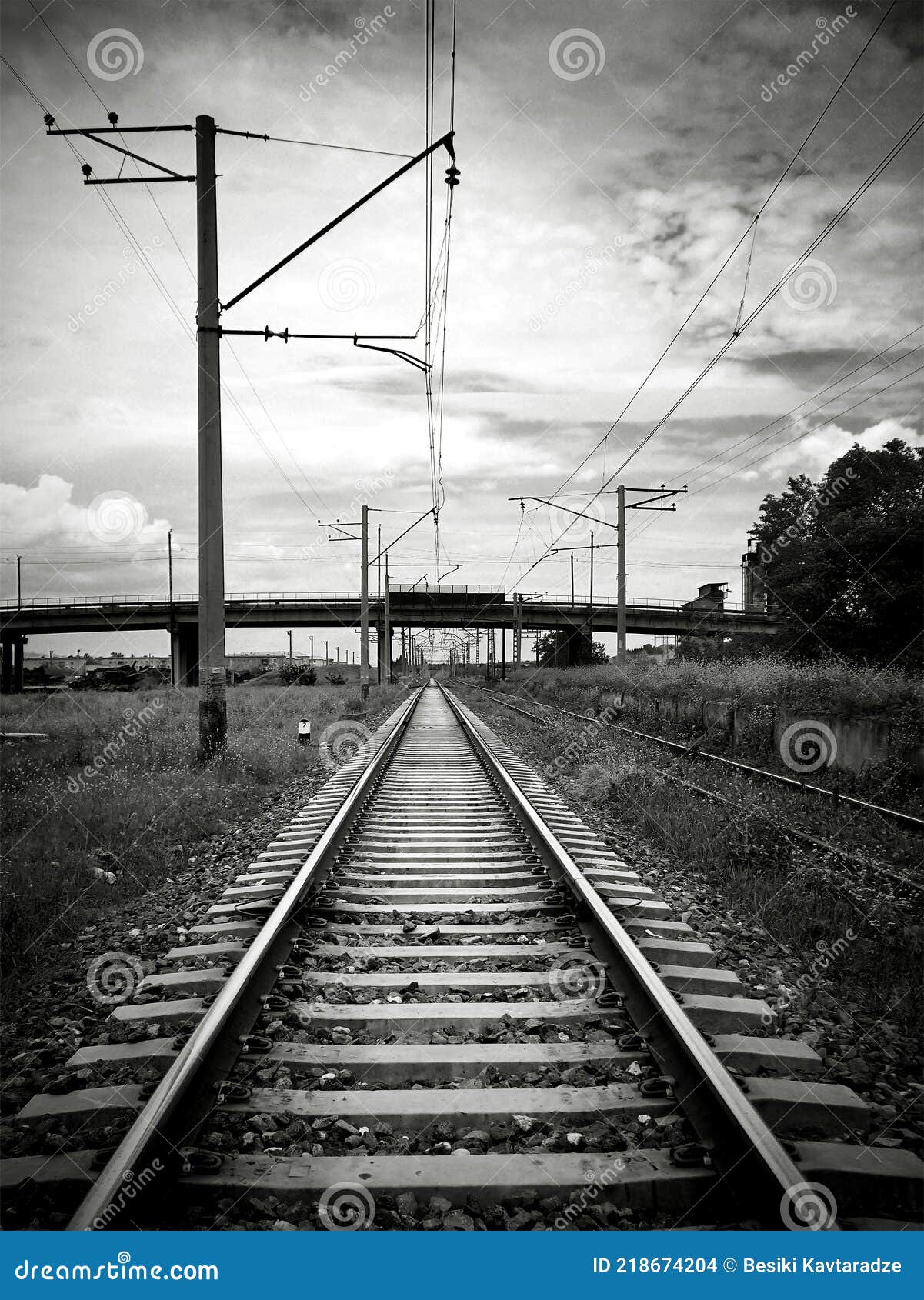 A Railway in Black and White Stock Photo - Image of cargo, evening ...