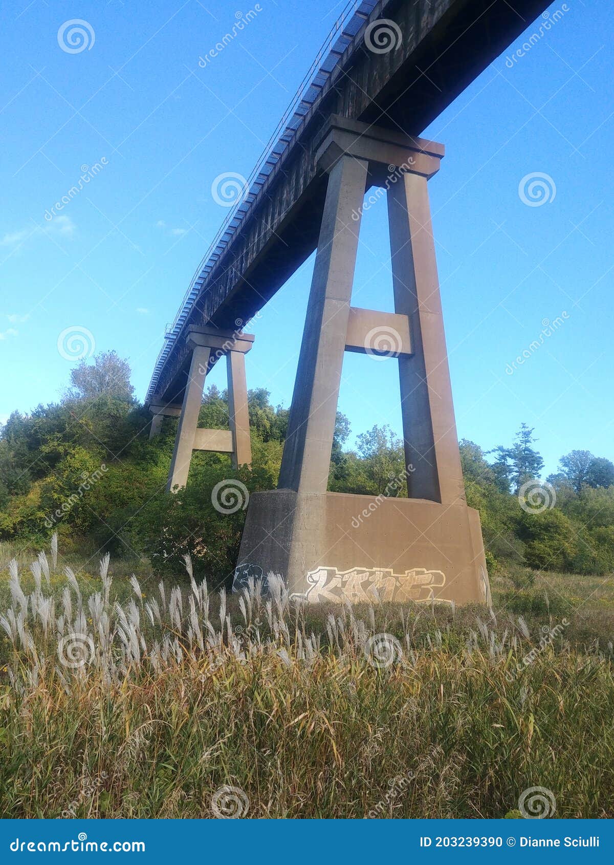 Railway Bridge in field editorial image. Image of field - 203239390