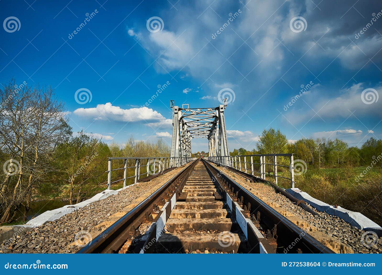 View Of A Railroad Track In The Woods That Form A Tunnel Around It ...