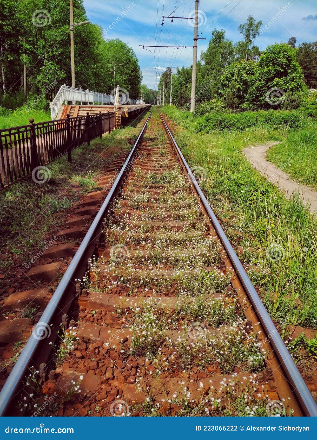 Railway stock photo. Image of locomotive, agriculture - 223066222