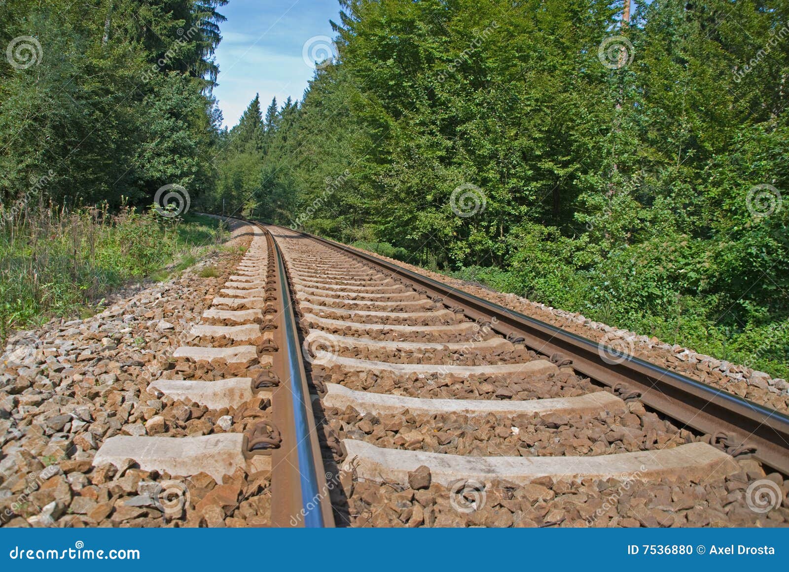 Railway in countryside stock photo. Image of forest, landscape - 7536880