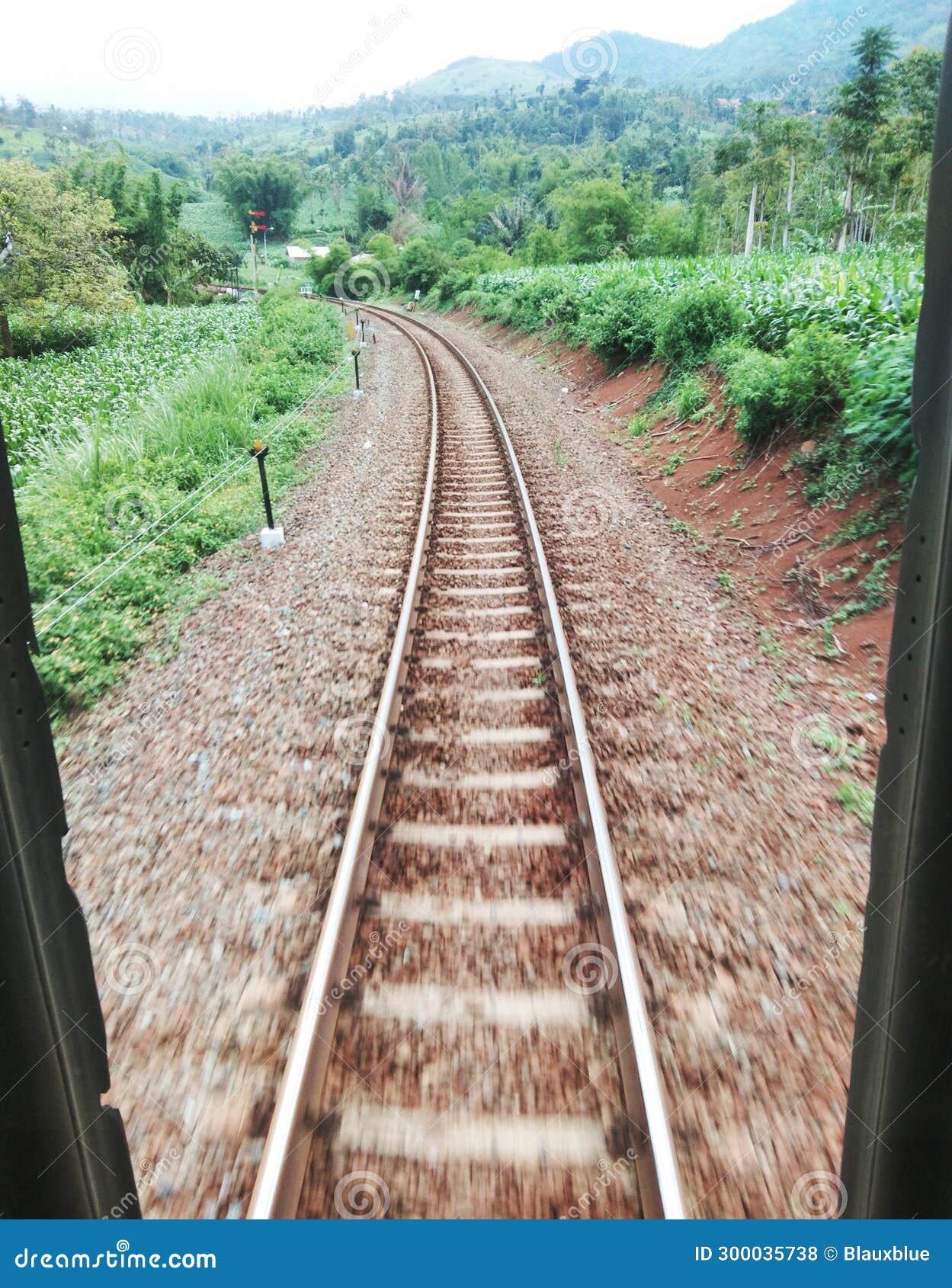 The Railway Crosses the Plantation Stock Photo - Image of ...