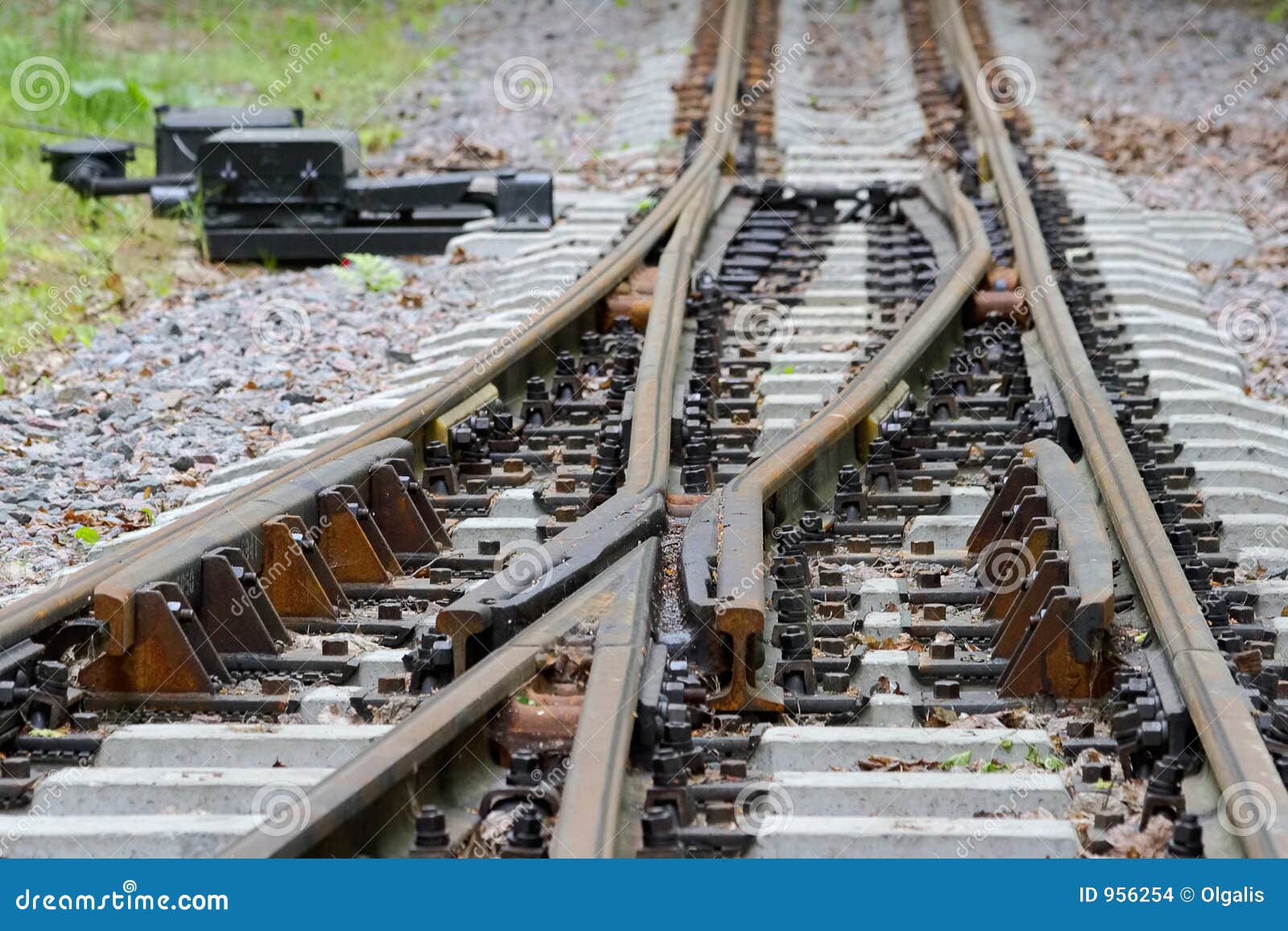Railway crossroad stock photo. Image of speed, leaf, adventure - 956254