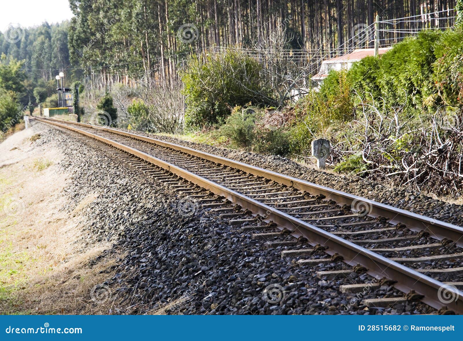 Railway in Diagonal Composition Stock Photo - Image of diagonal ...