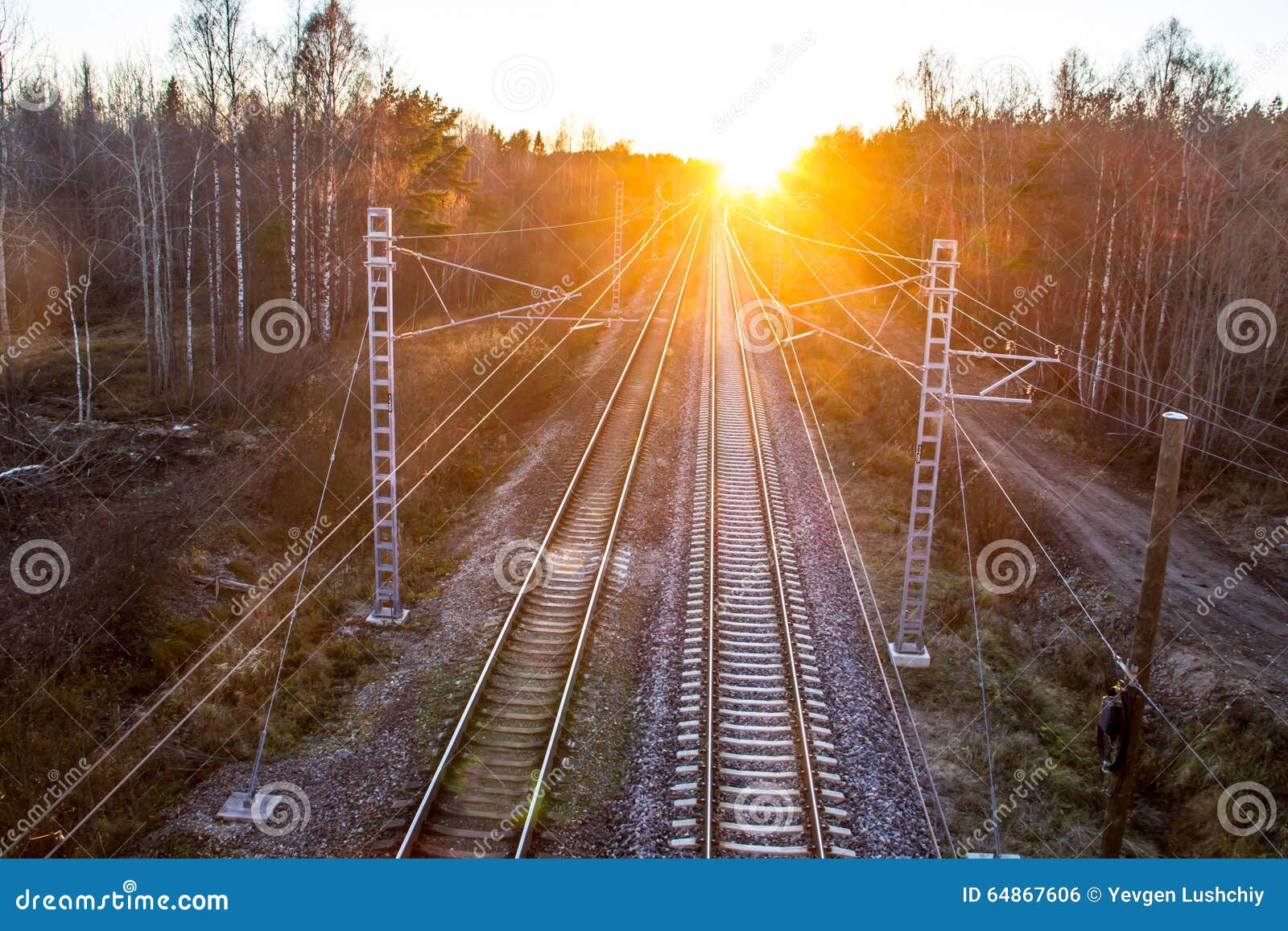 Railway at the evening stock photo. Image of spur, dense - 64867606