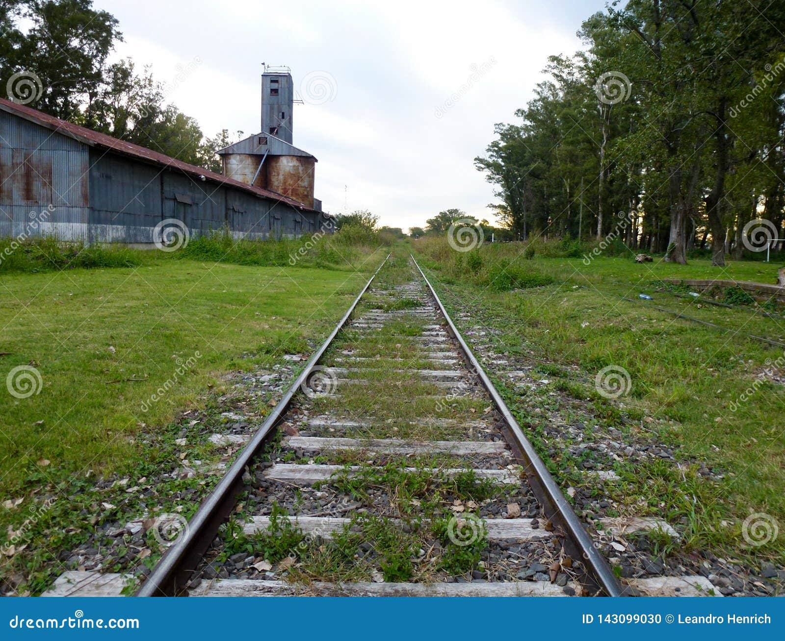 The Railway in the Farmland Stock Photo - Image of destination ...