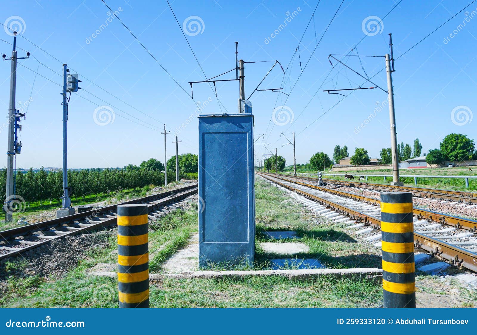 Railway in the field stock photo. Image of locomotive - 259333120