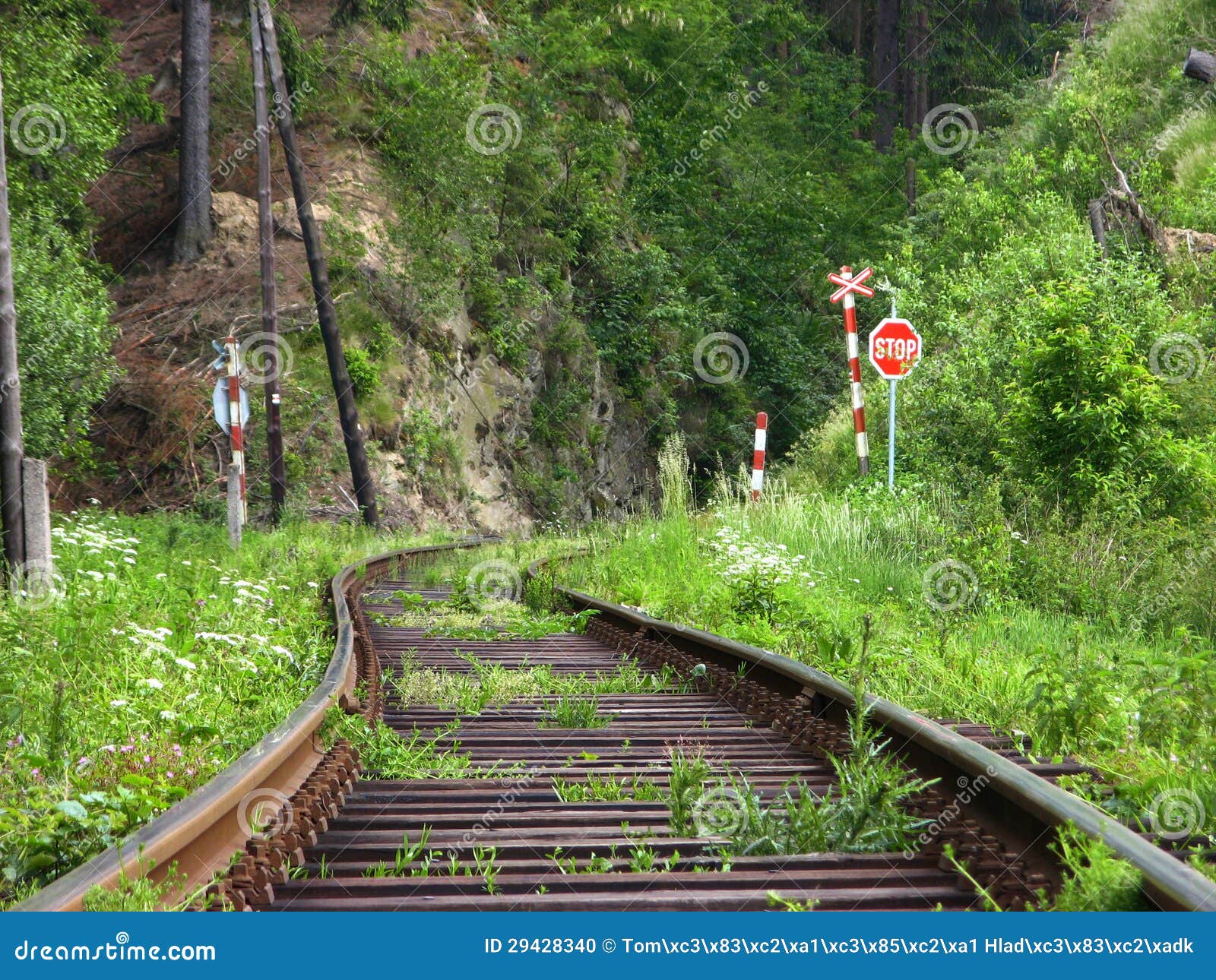 Railway in forest stock photo. Image of rail, greenness - 29428340