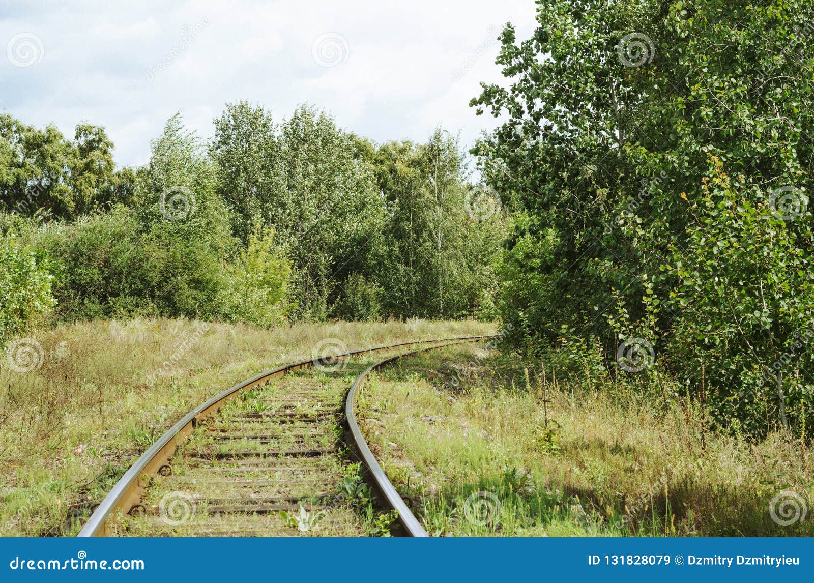 Railway in the forest stock image. Image of rails, travel - 131828079