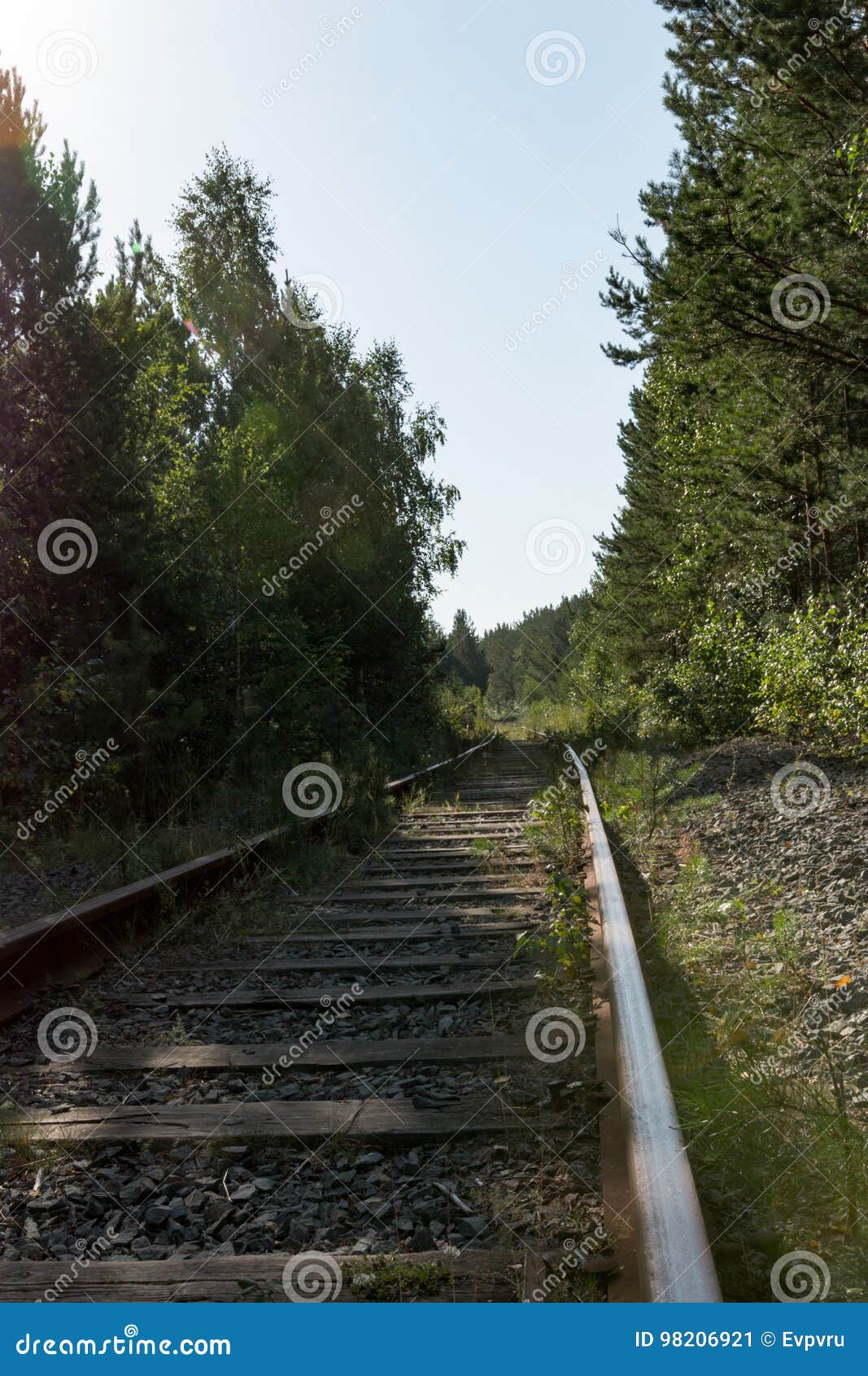 Railway in the forest stock image. Image of transportation - 98206921