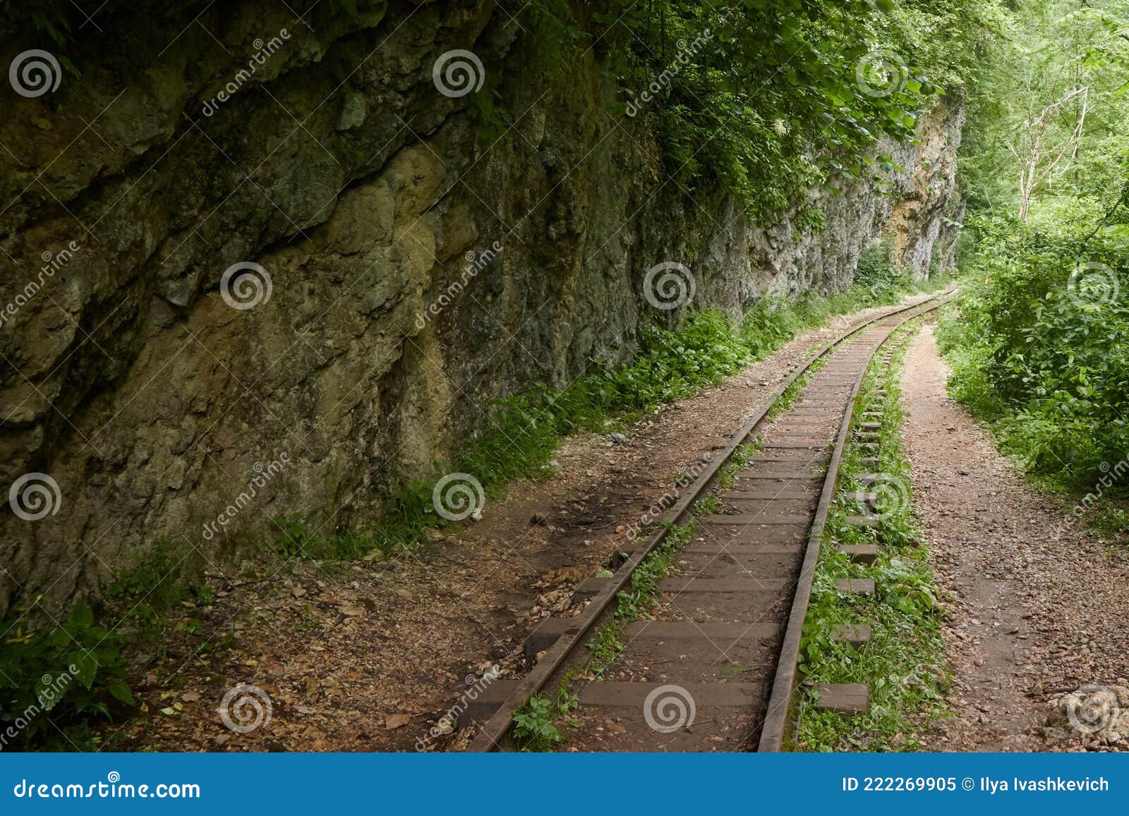 Railway in the Forest, Summer in the Rainforest Stock Image - Image of ...