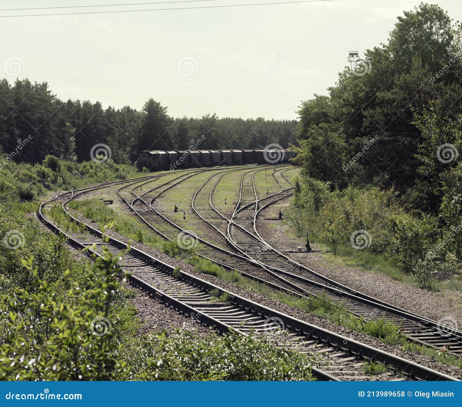 Railway Goods Station Tracks Intersection. Interlaced Turnouts Manual ...