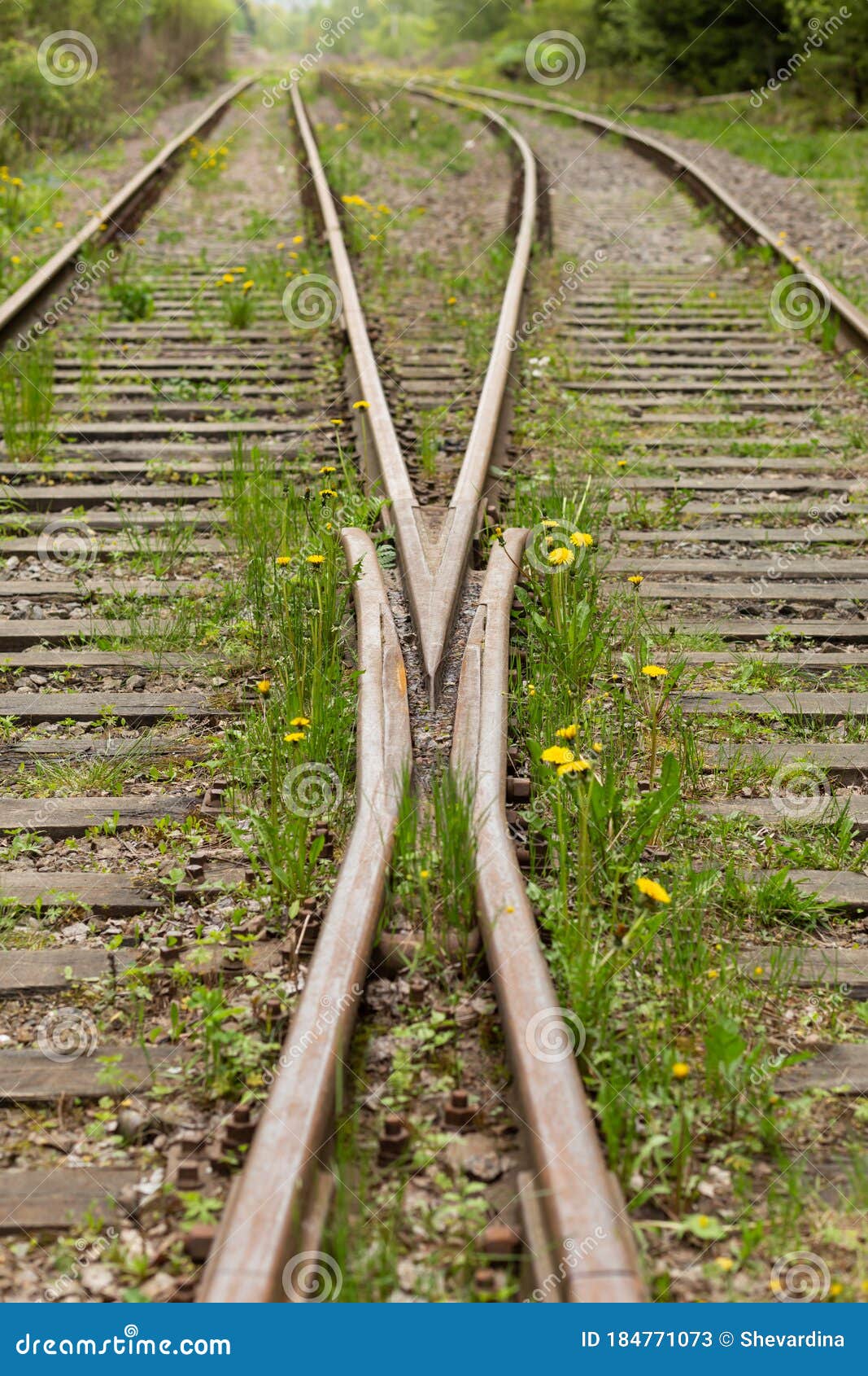 Railway Intersection. Choosing the Right Path Stock Image - Image of ...
