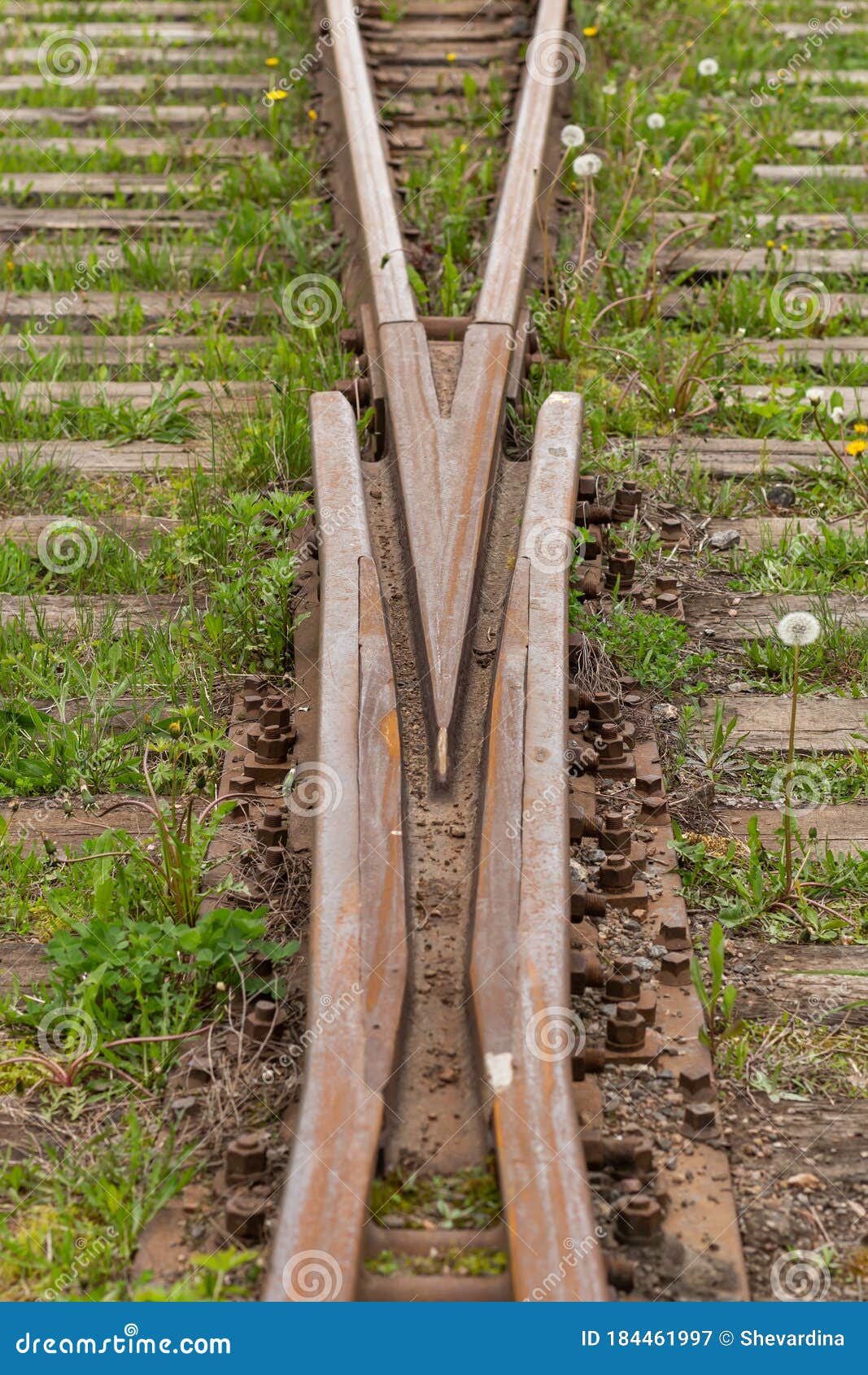 Railway Intersection. Choosing the Right Path Stock Image - Image of ...