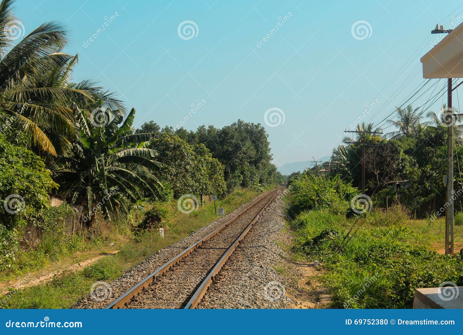 Railway in jungle stock photo. Image of railroad, train - 69752380