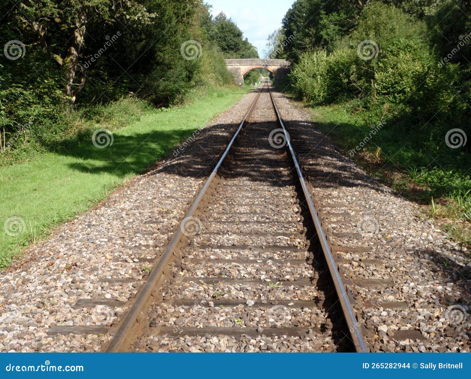 Railway stock photo. Image of railway, bridge, distance - 265282944